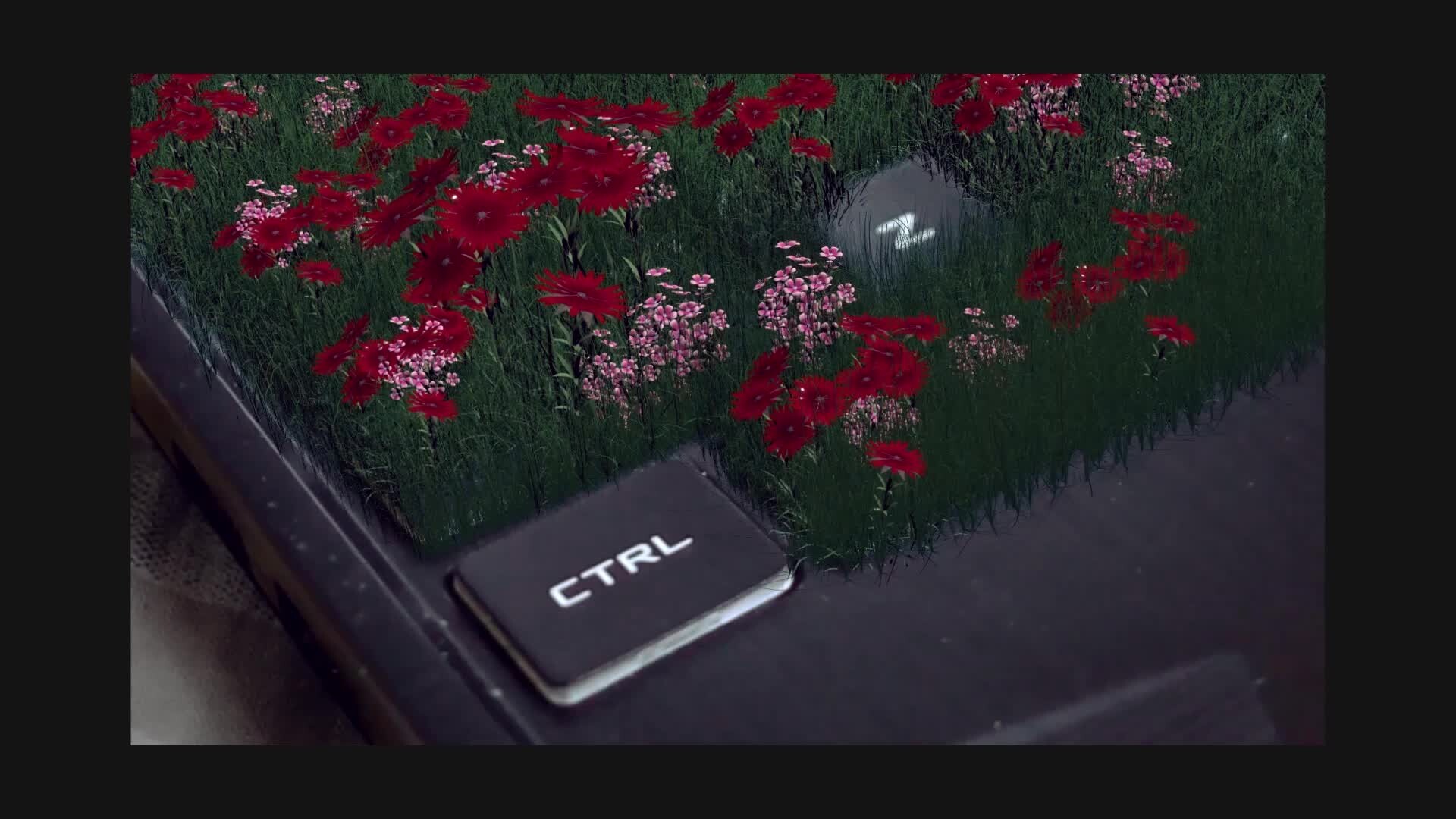 ArtStation - CTRL + Z