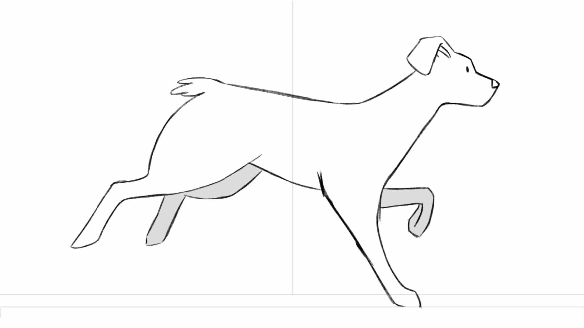 ArtStation - Animation Dog Run Cycle