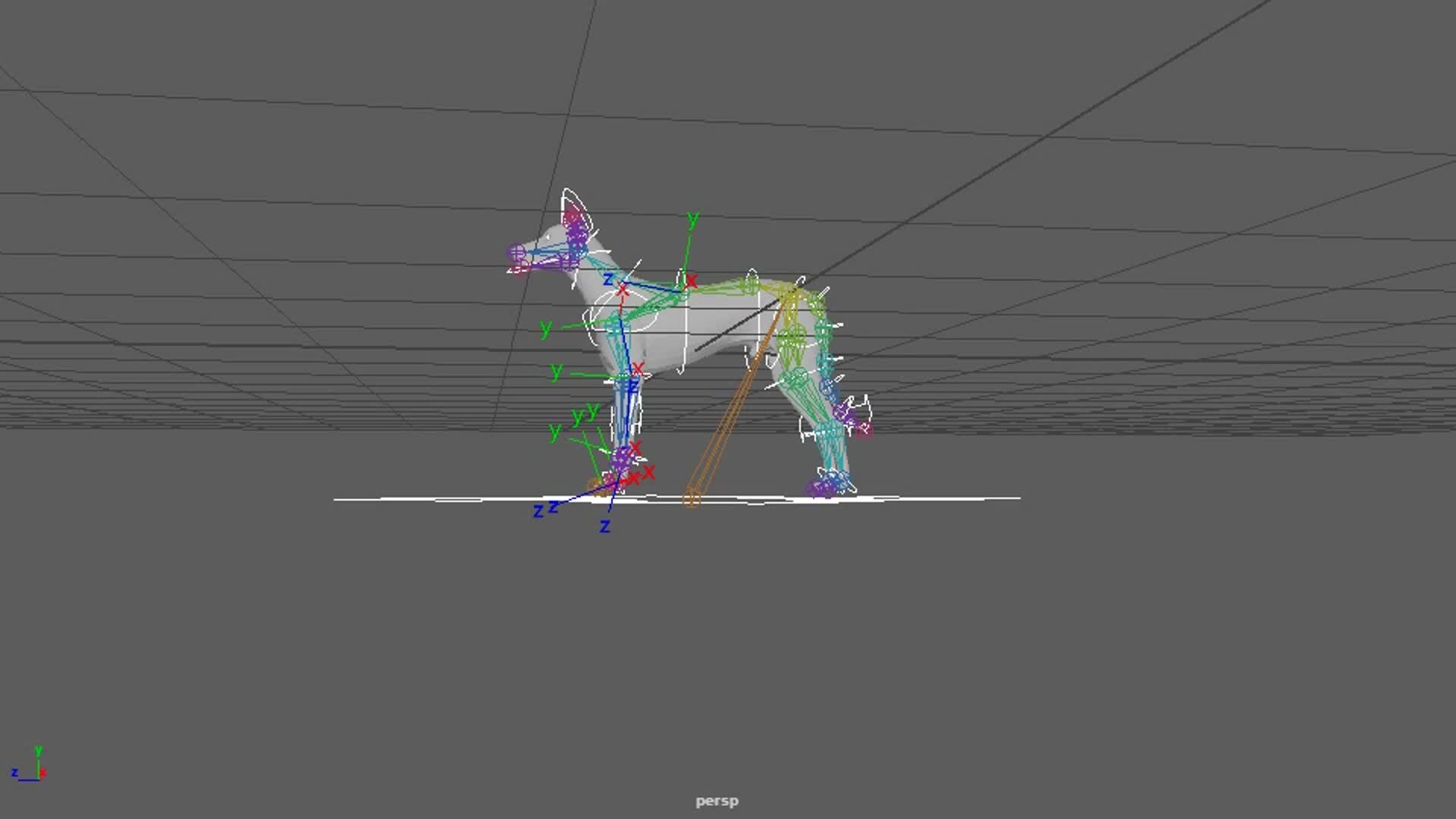 ArtStation - Dog Rigging