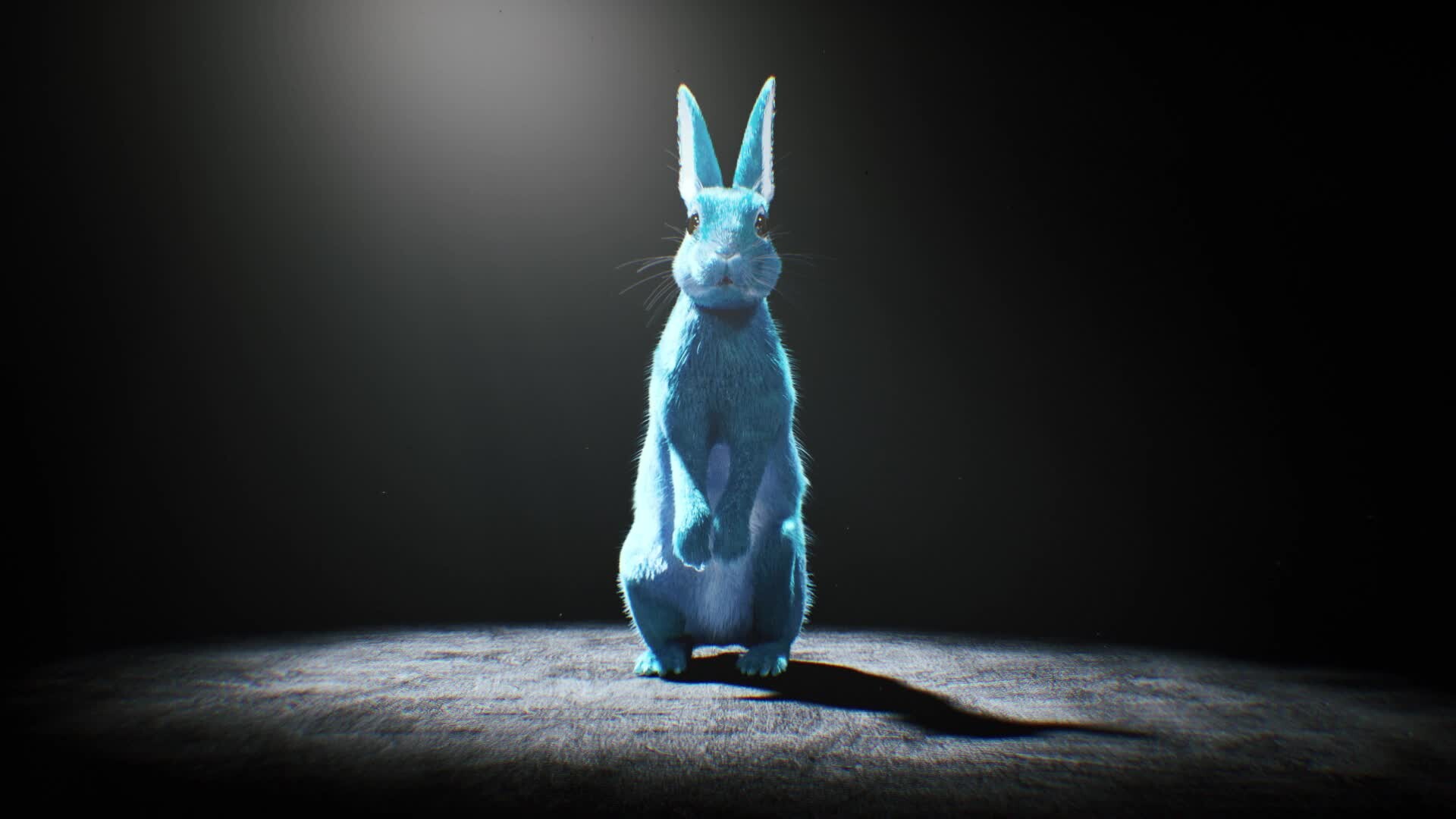 ArtStation - Blue Rabbit
