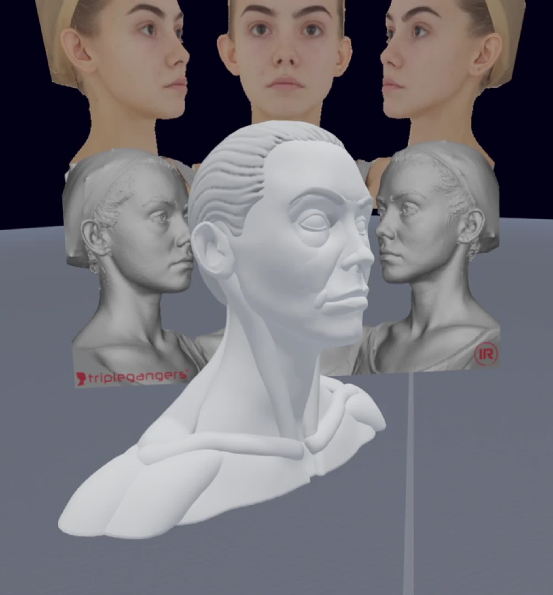 ArtStation - Facial anatomy study