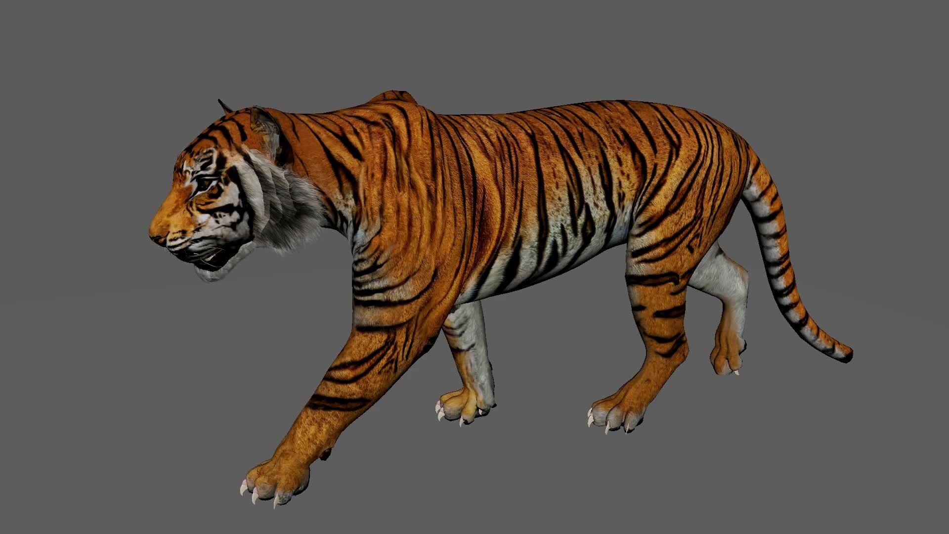 ArtStation - Tiger Walk Animation