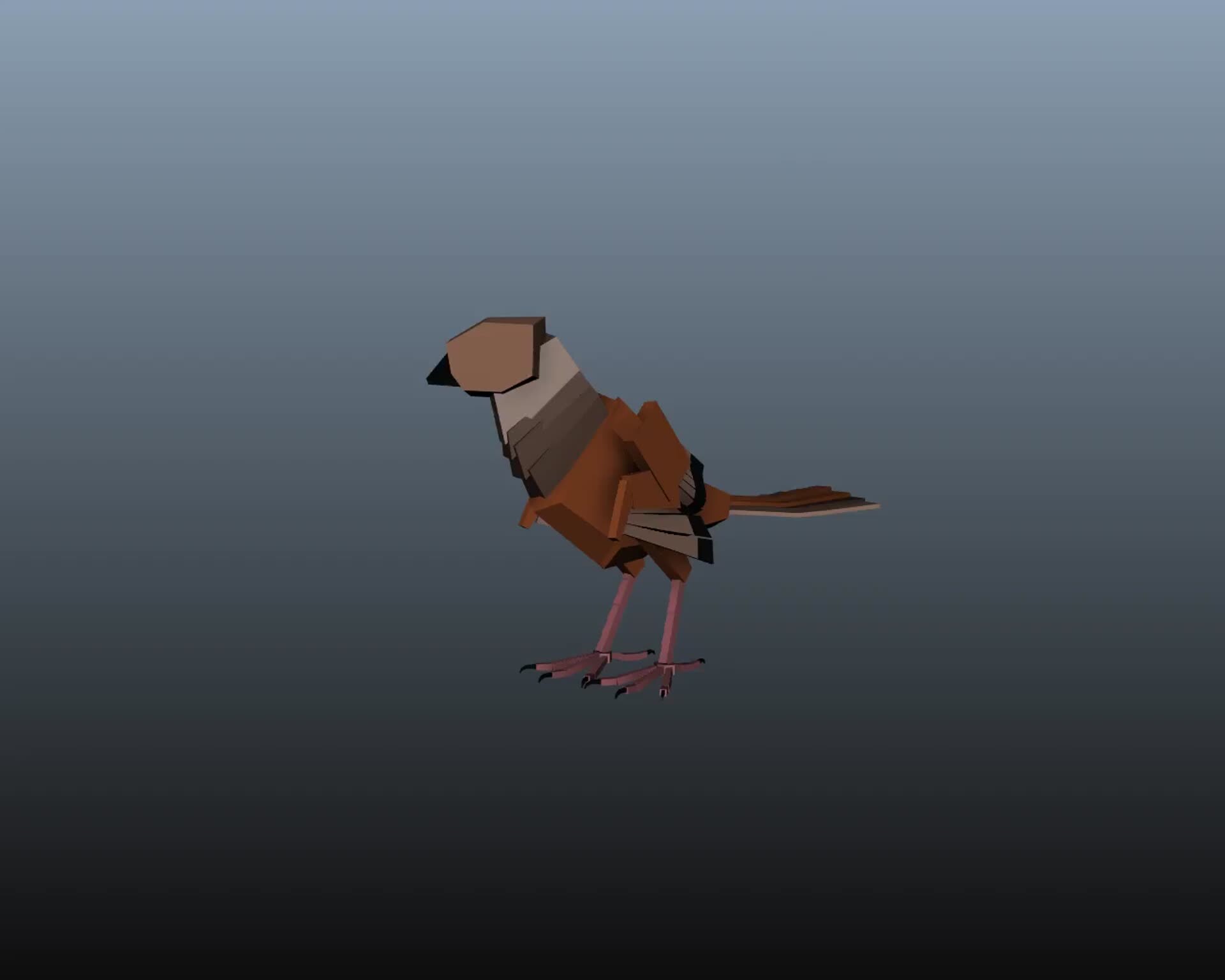 ArtStation - Bird Animation Cycles