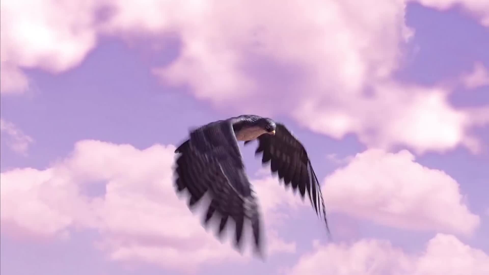 ArtStation - 3d falcon animation