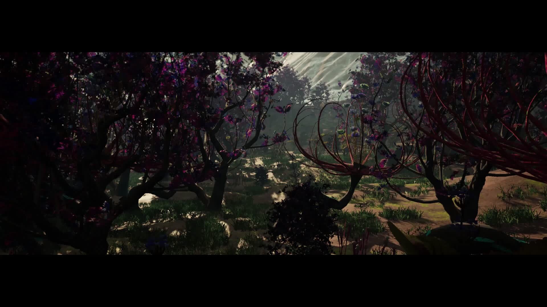 ArtStation - procedural Forest