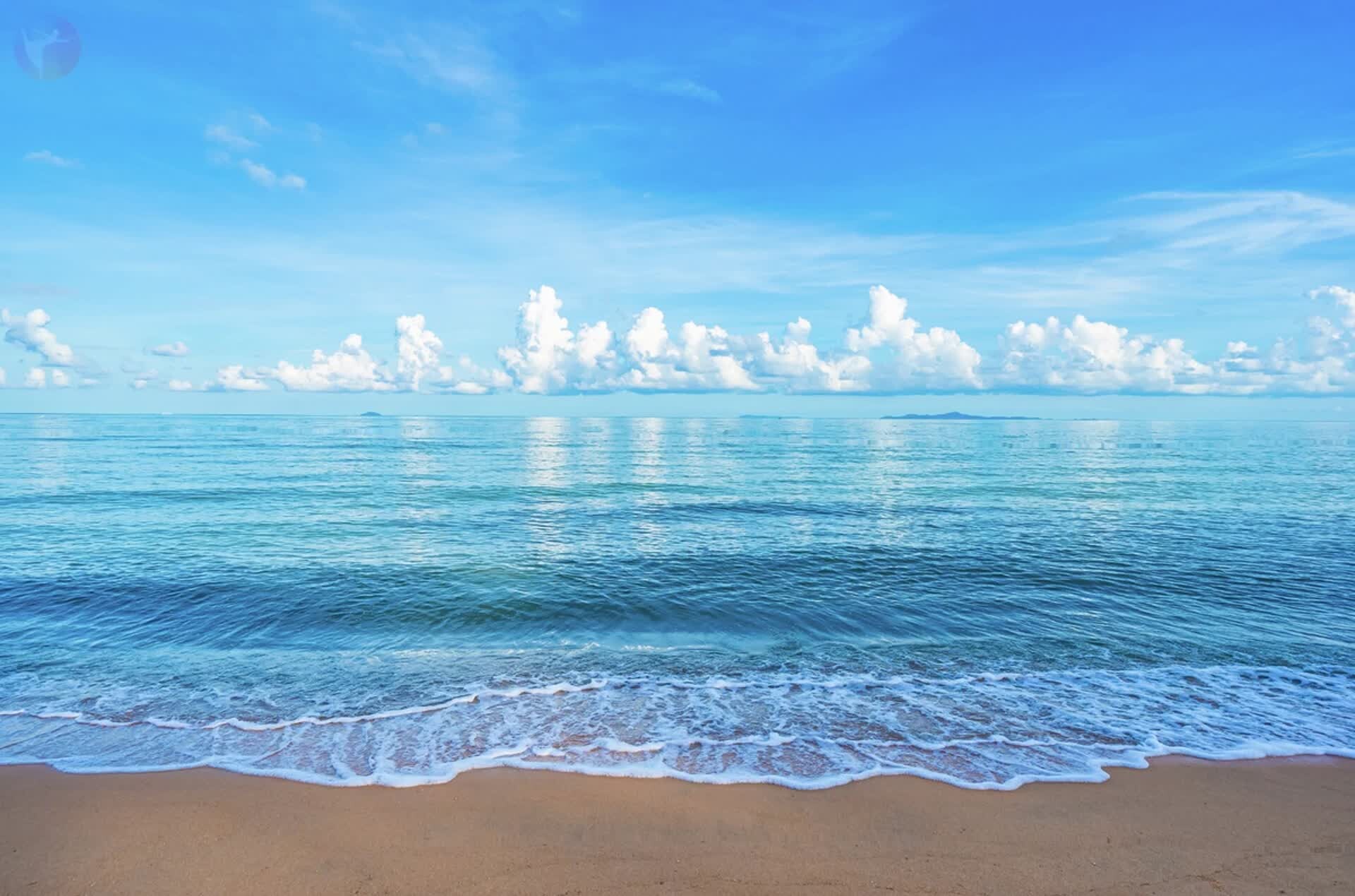 ArtStation - Beach (Motion Picture Test)