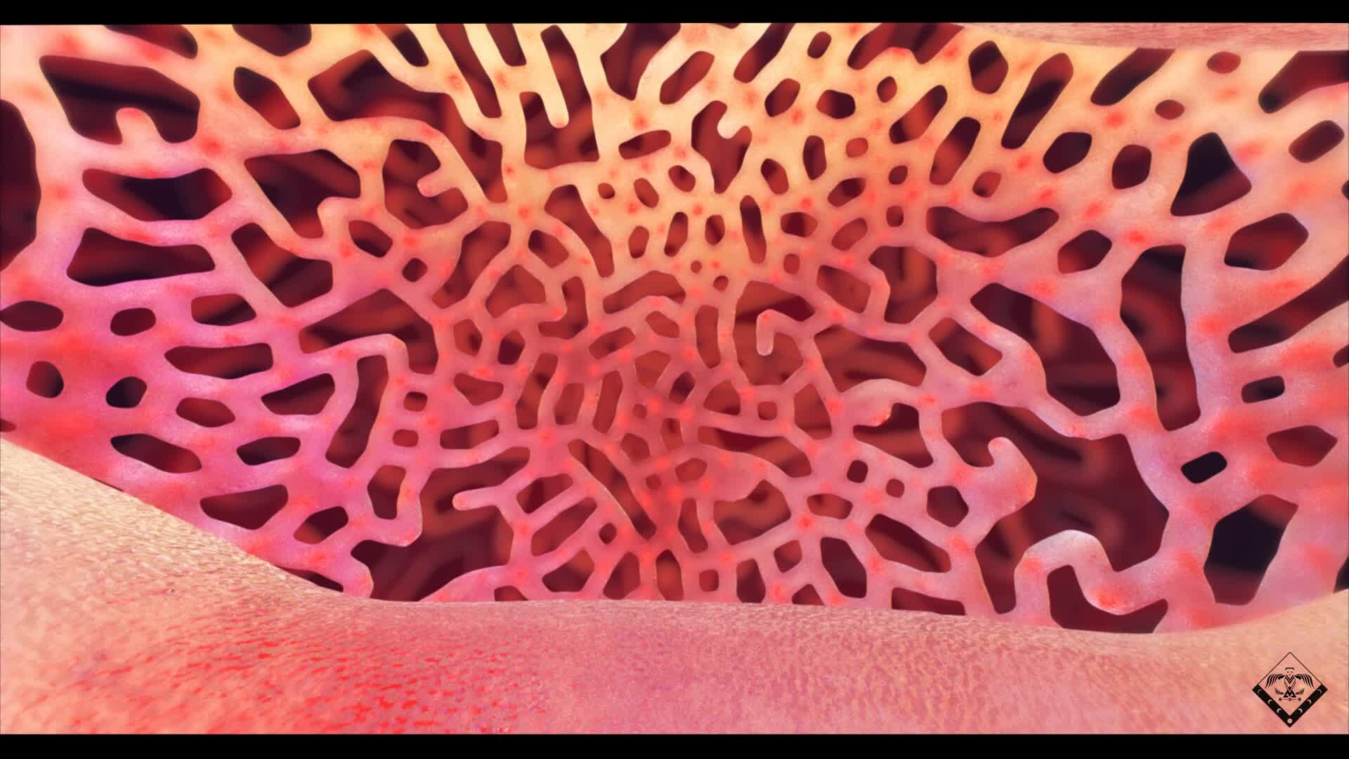 ArtStation - Organic heart