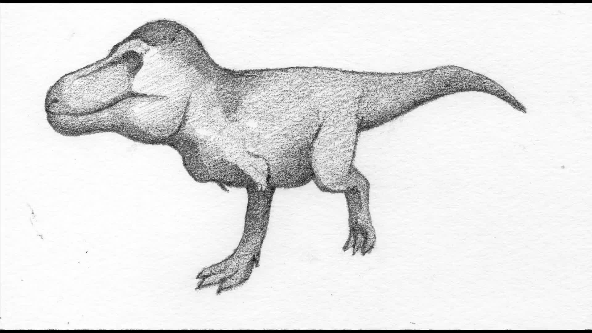 ArtStation - Dinosaur walking animation test