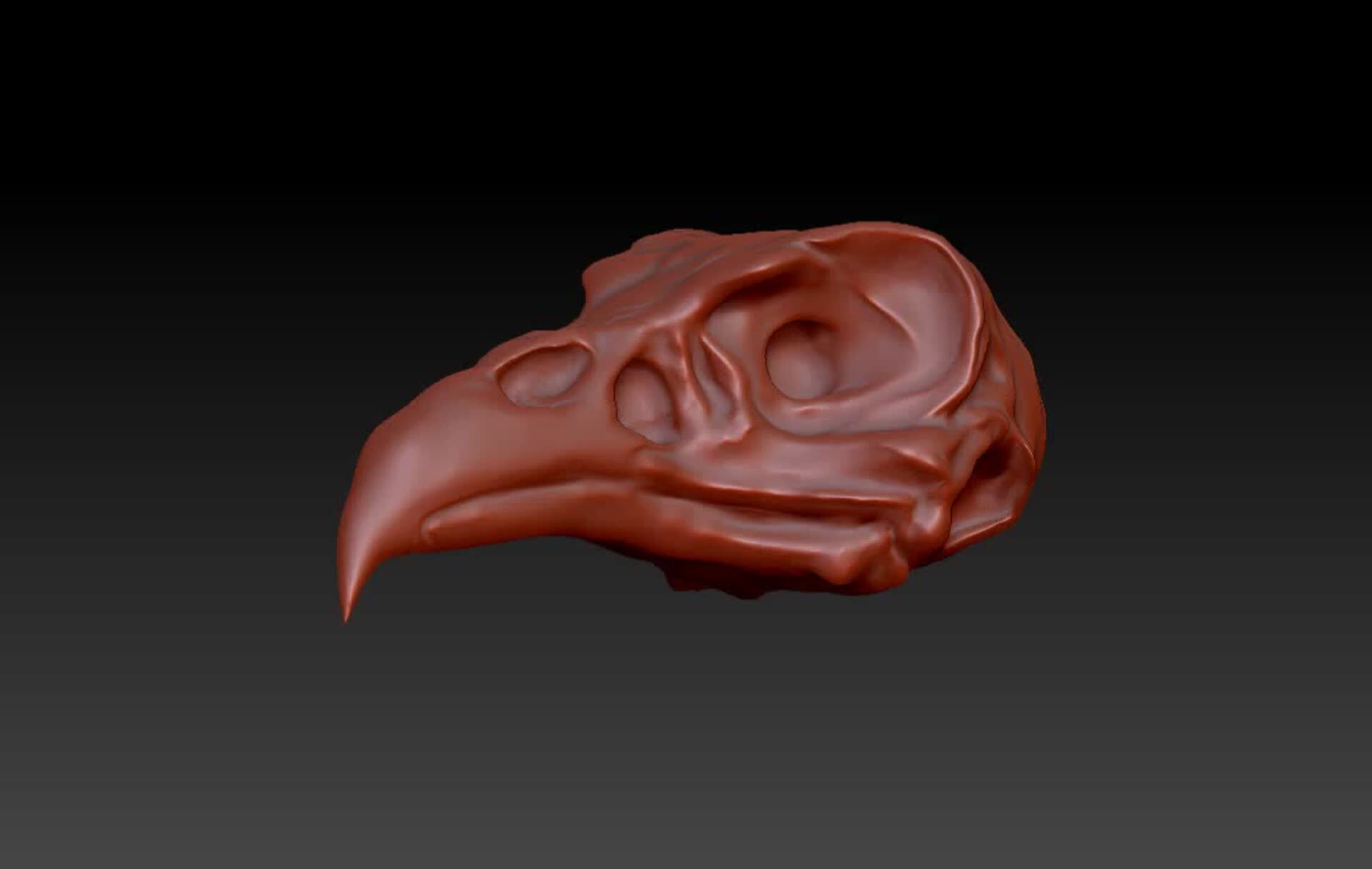 ArtStation - Bird Skull