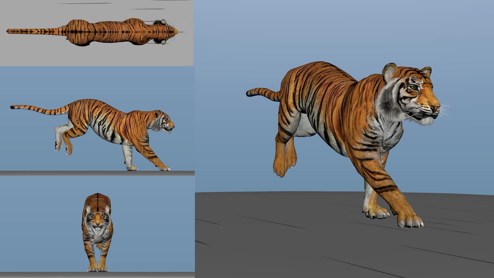 ArtStation - Tiger Run