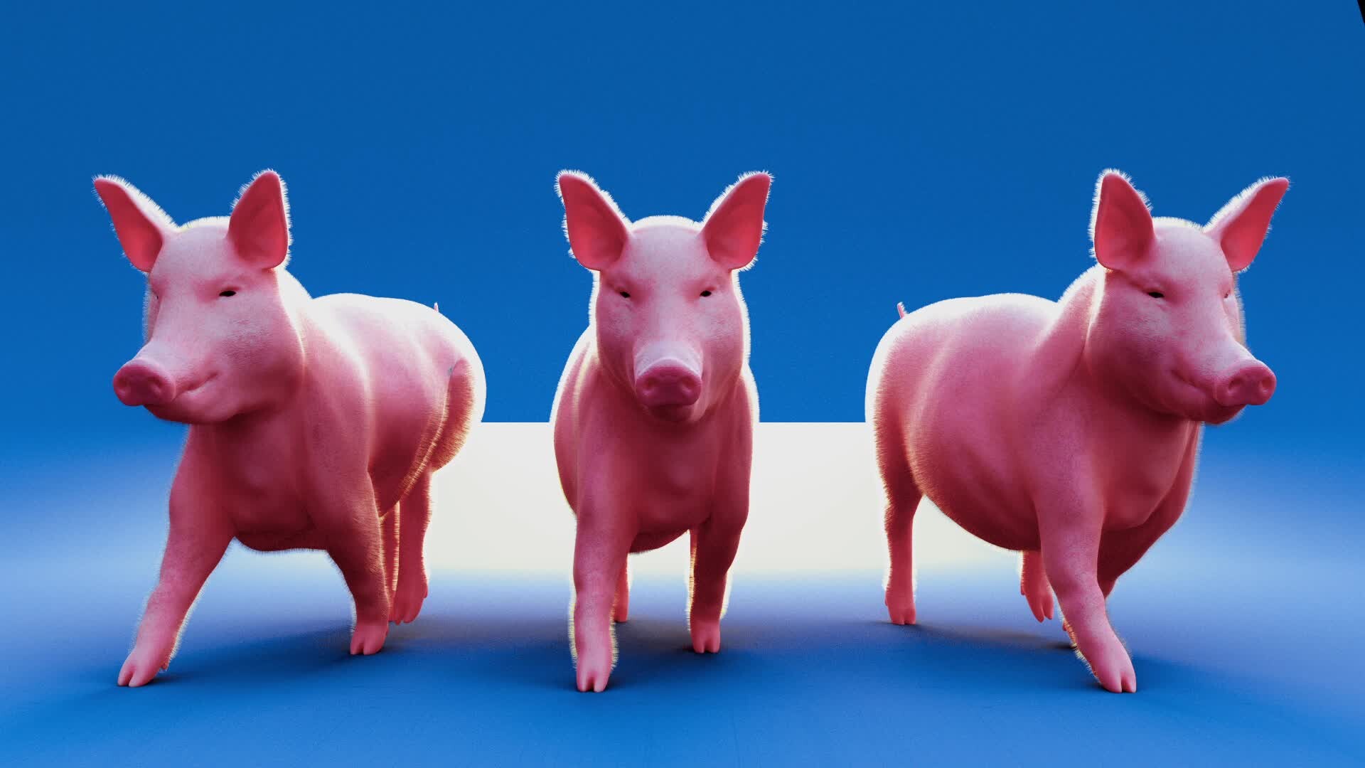 ArtStation - Jiggly Pigs