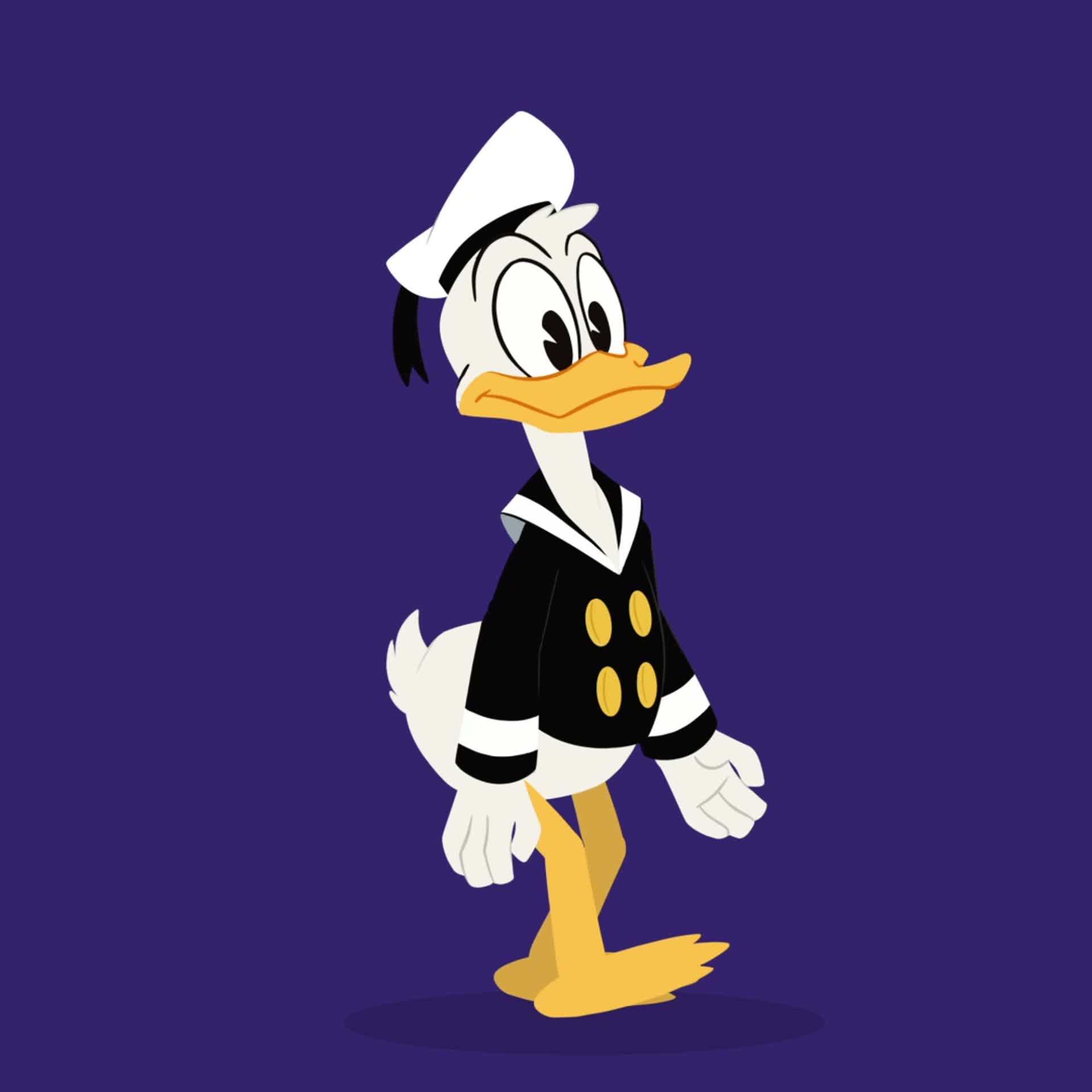 ArtStation - Donald Duck Motion Graphics Style Walk Cycle - After Effects