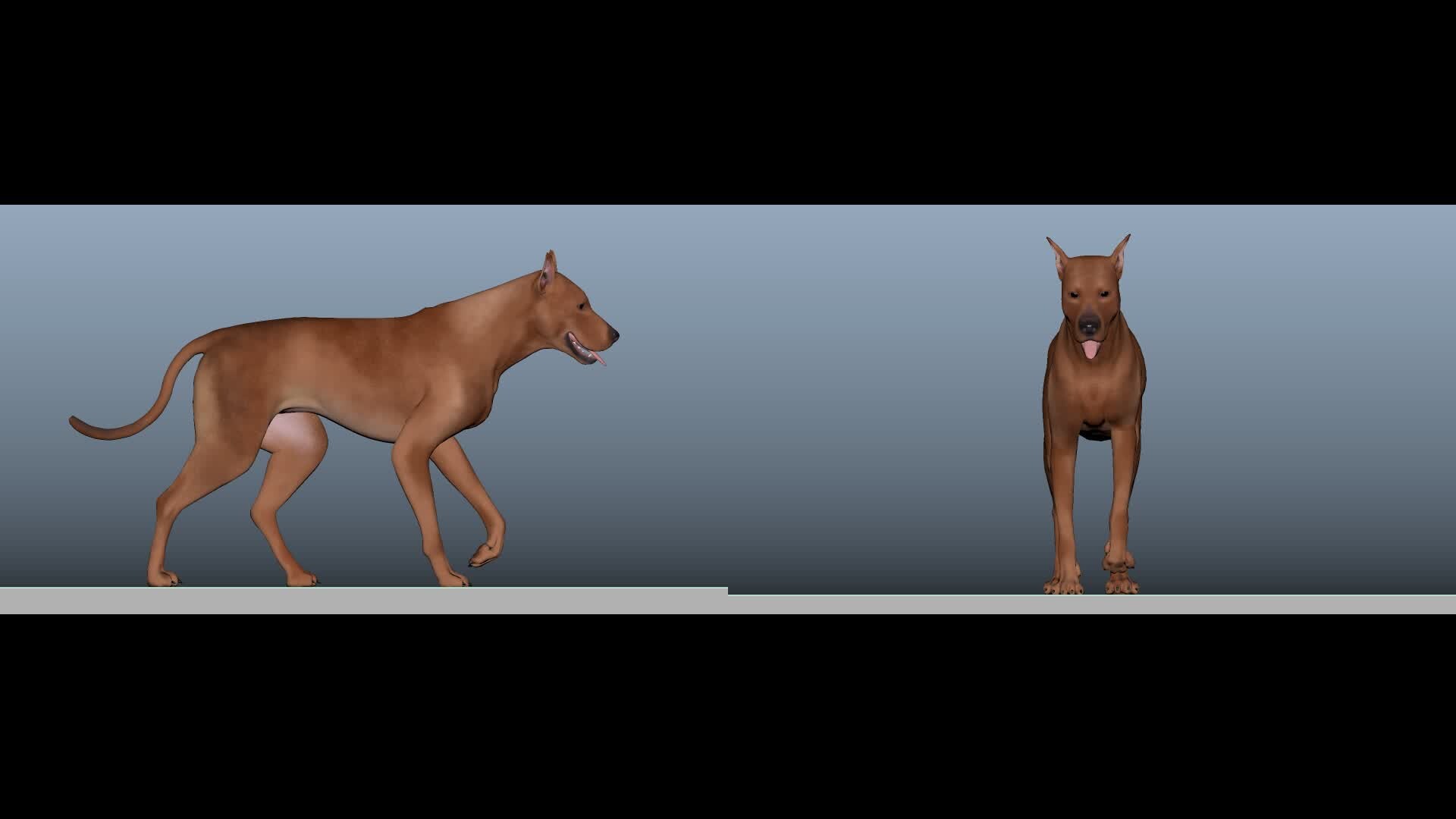 ArtStation - Dog: walk cycle