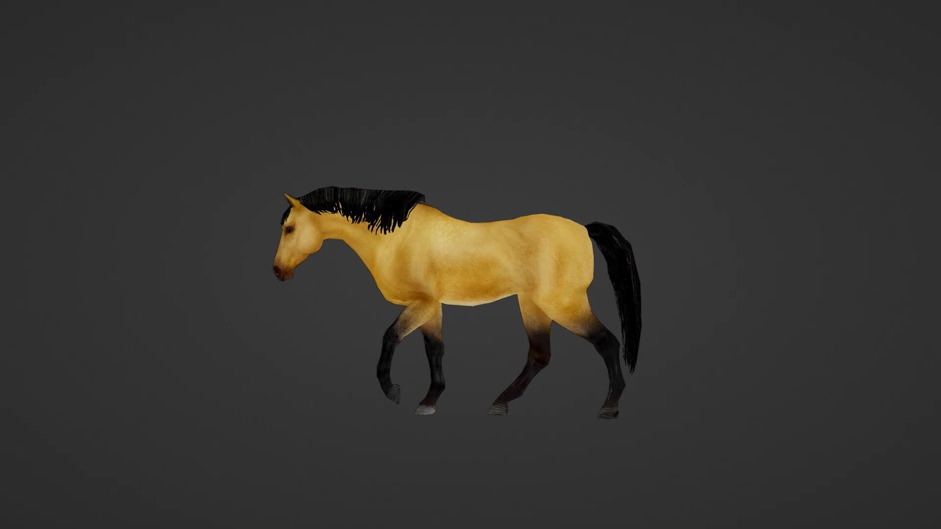 ArtStation - horse animation