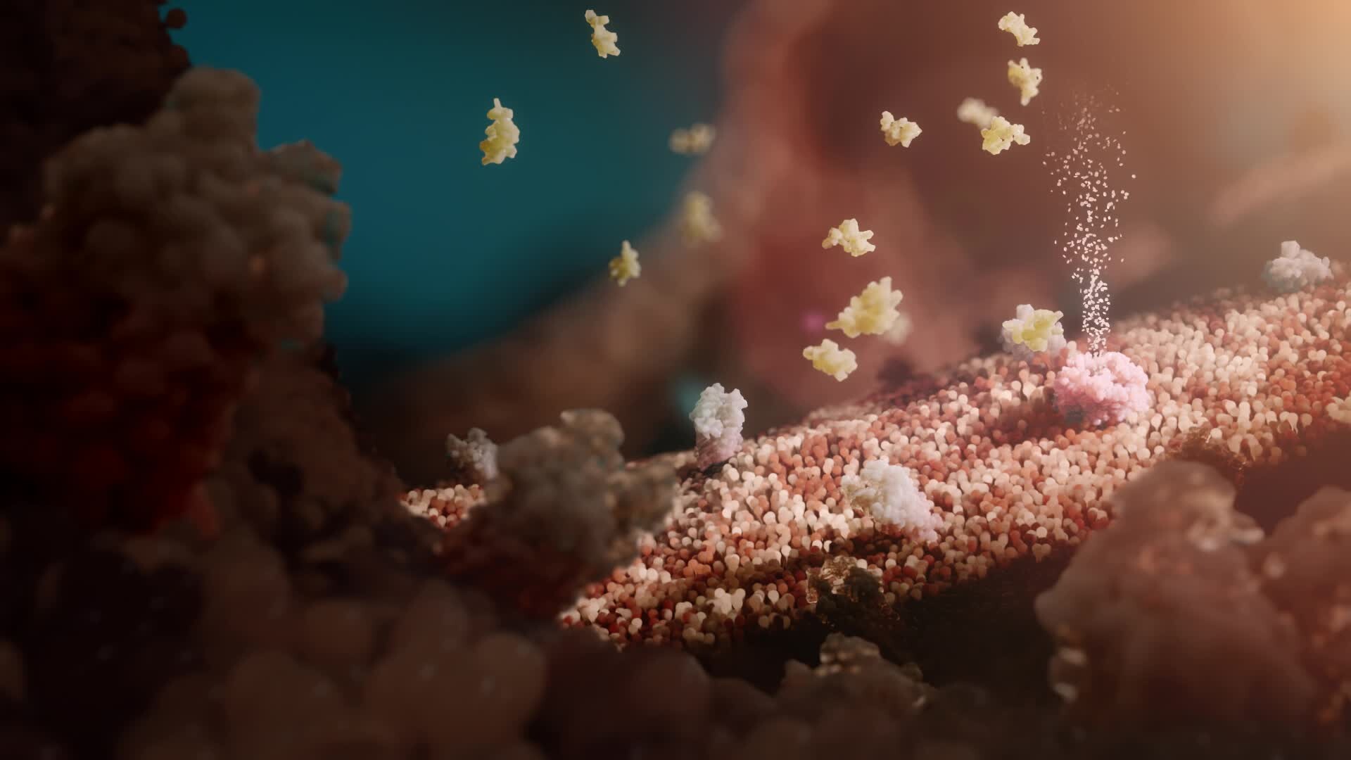 ArtStation - Lipid Layer