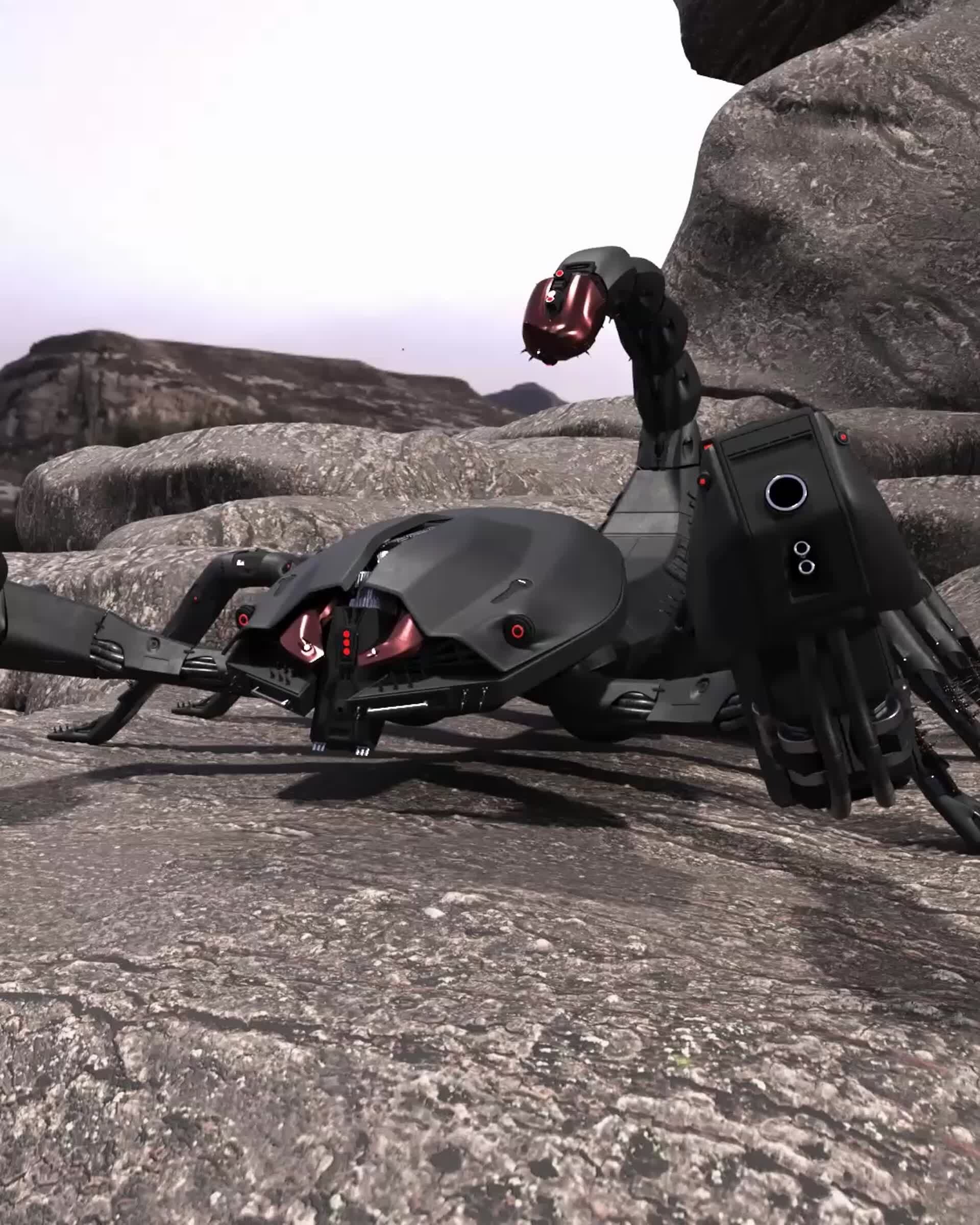 ArtStation - SCORPIO ANIMATION