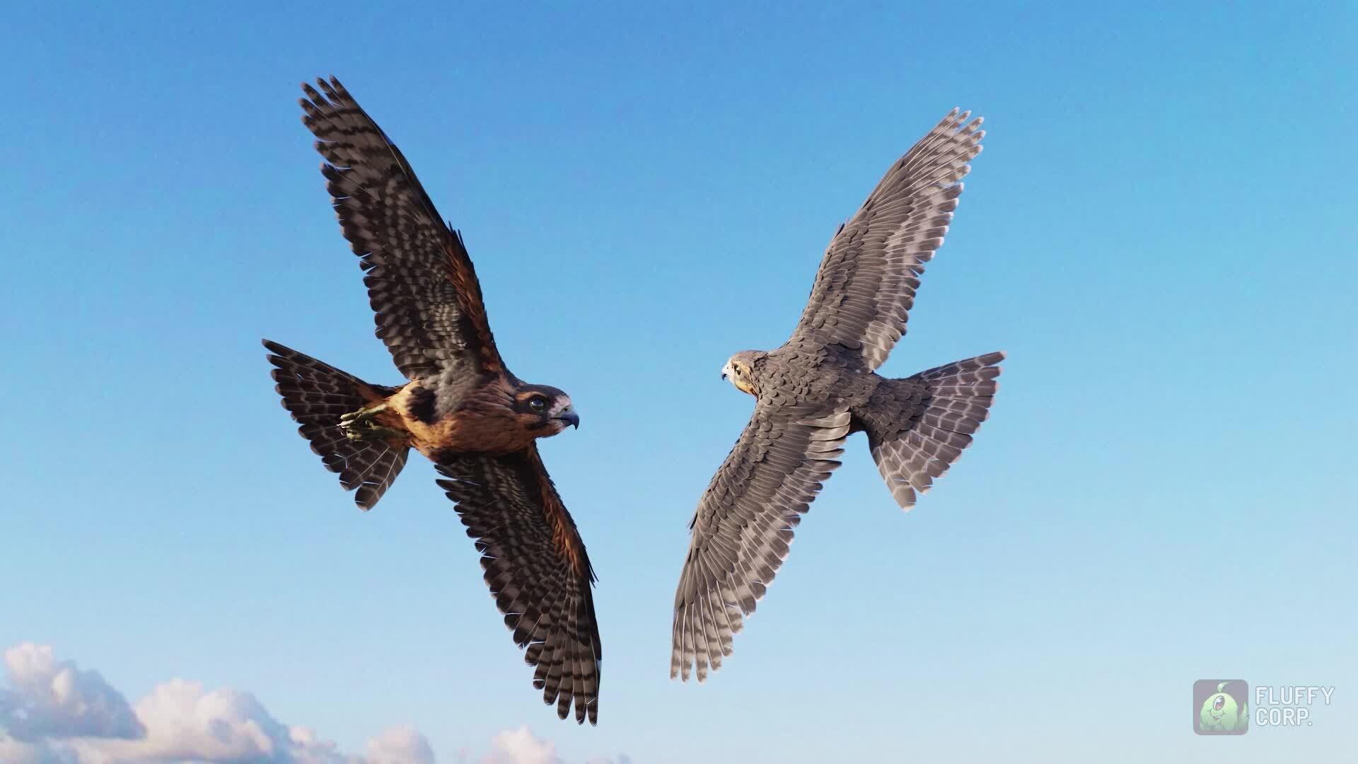 ArtStation - The Hawk