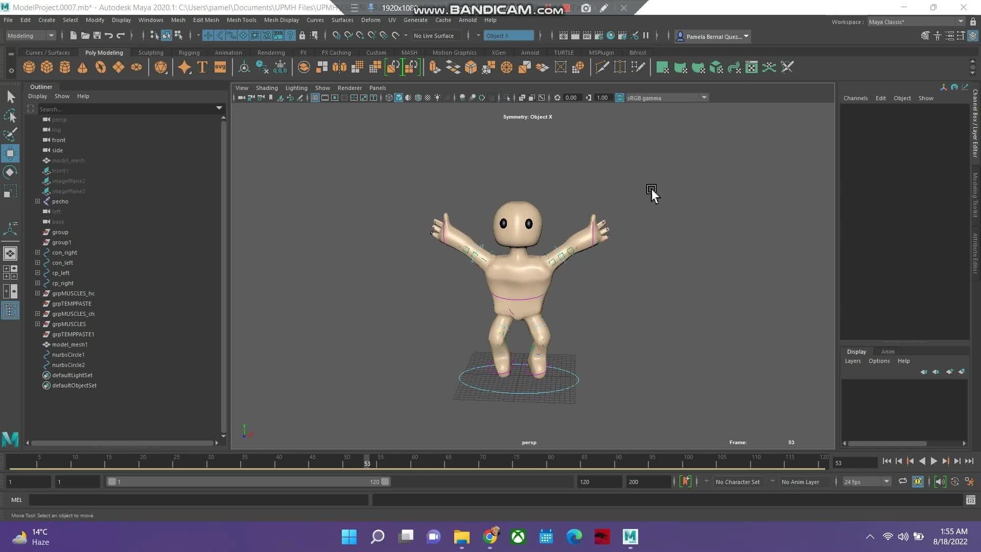 ArtStation - Muscle_rig