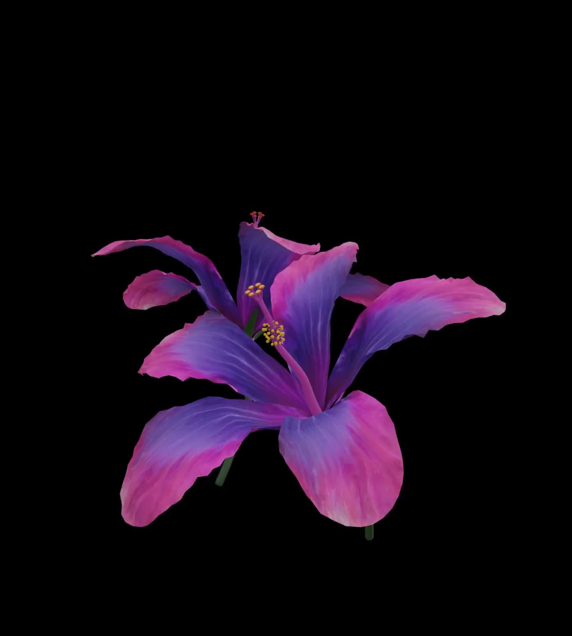 ArtStation - 3D model and animation of a flower