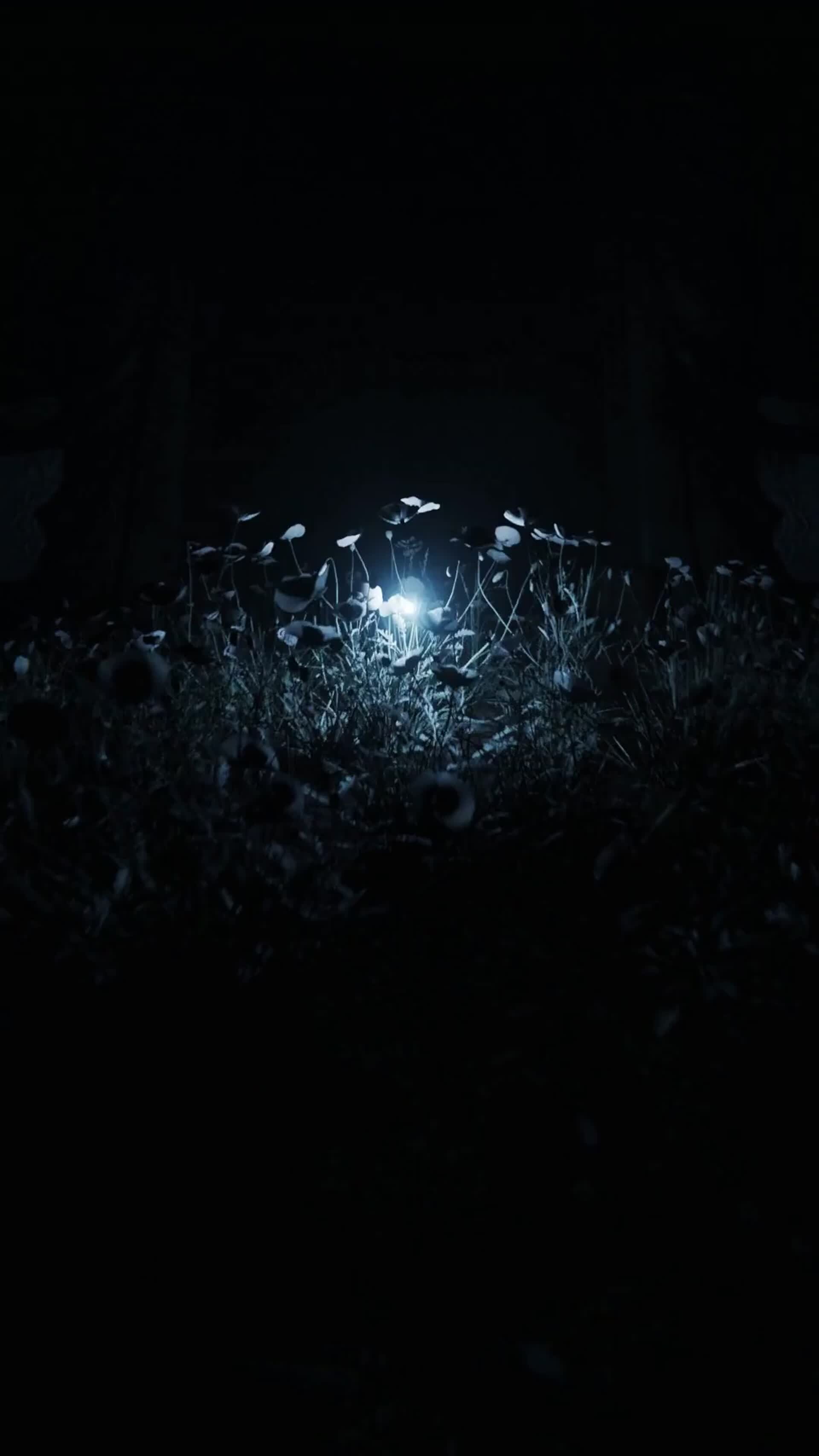 ArtStation - VFX Reel from the last few months