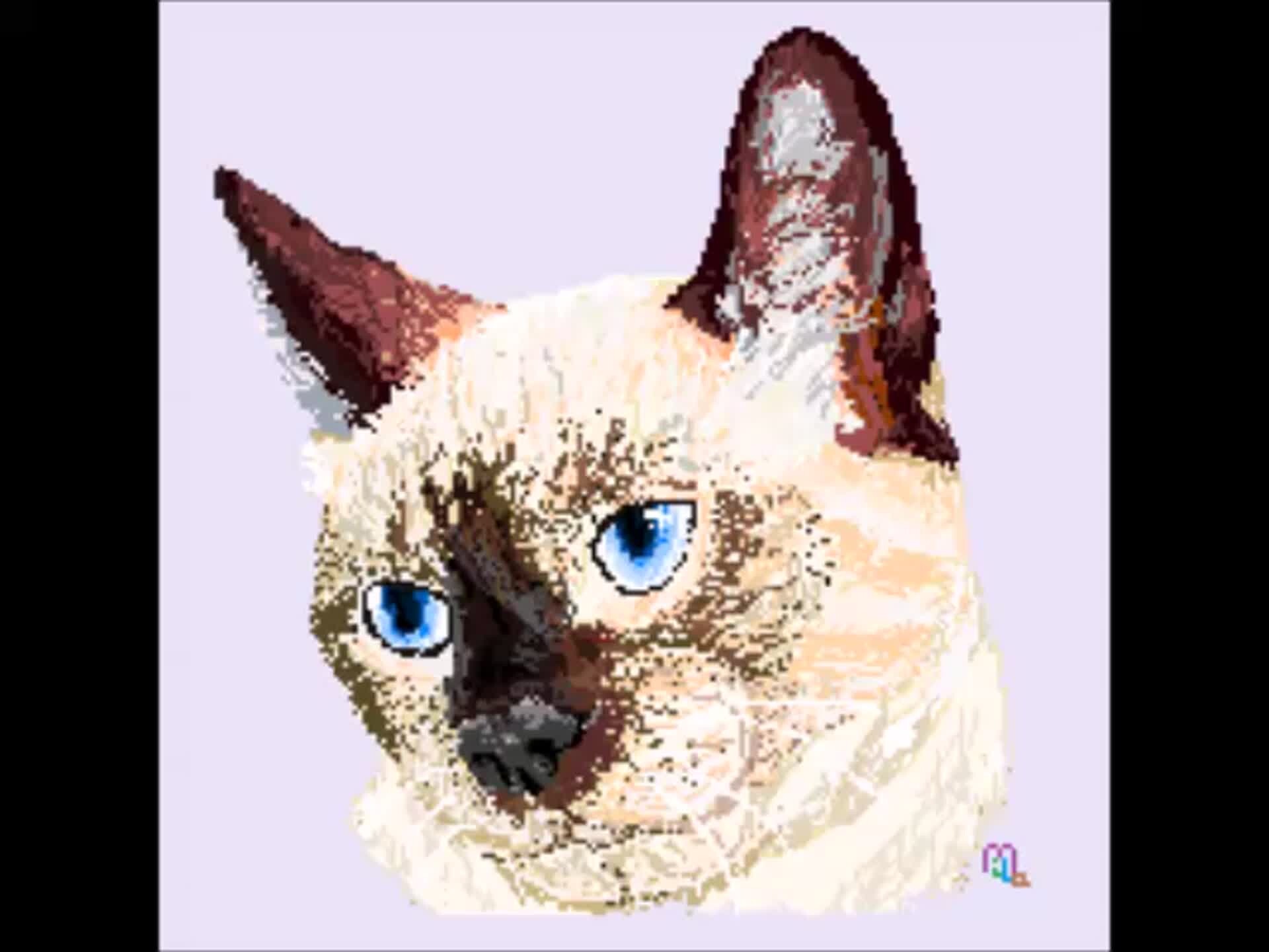 ArtStation - siamés