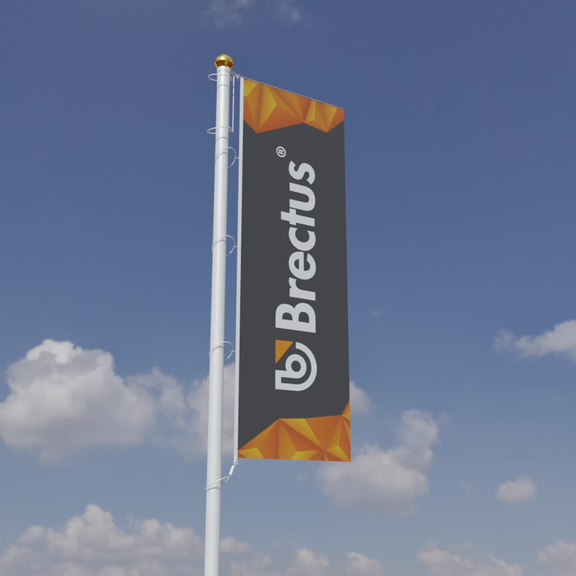 ArtStation - 3D Animation - Flag