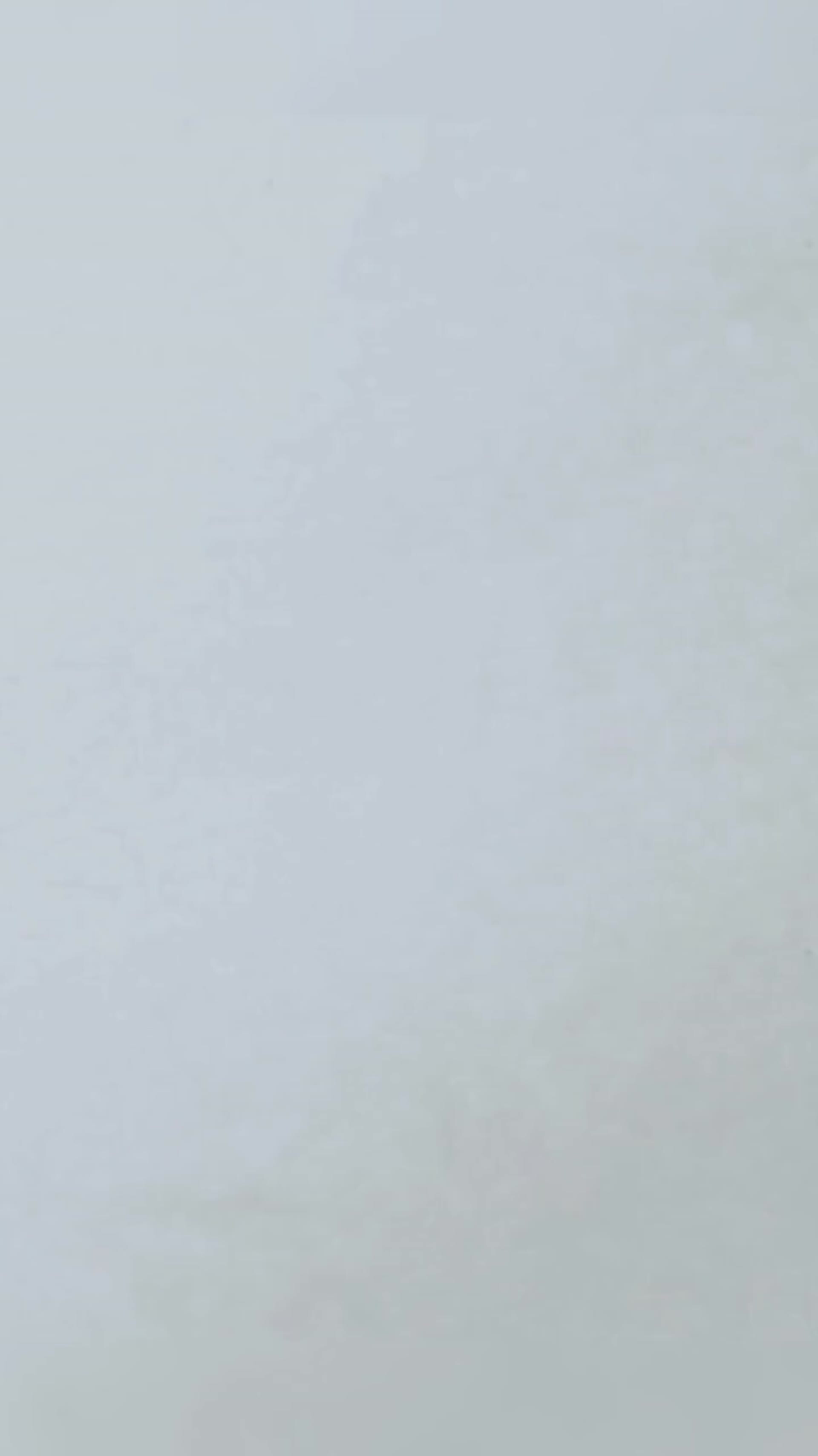 ArtStation - Anime guy's Death Stare