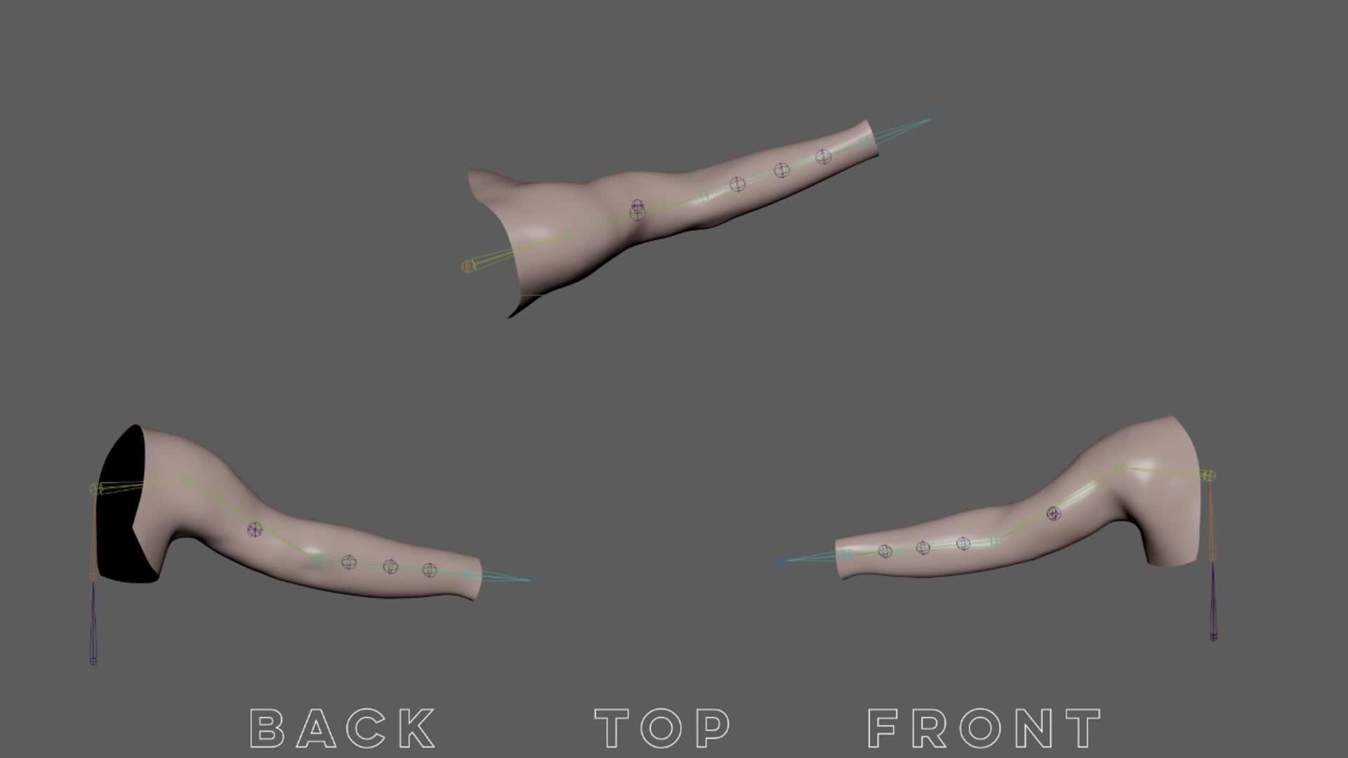 ArtStation - Muscle Rigging