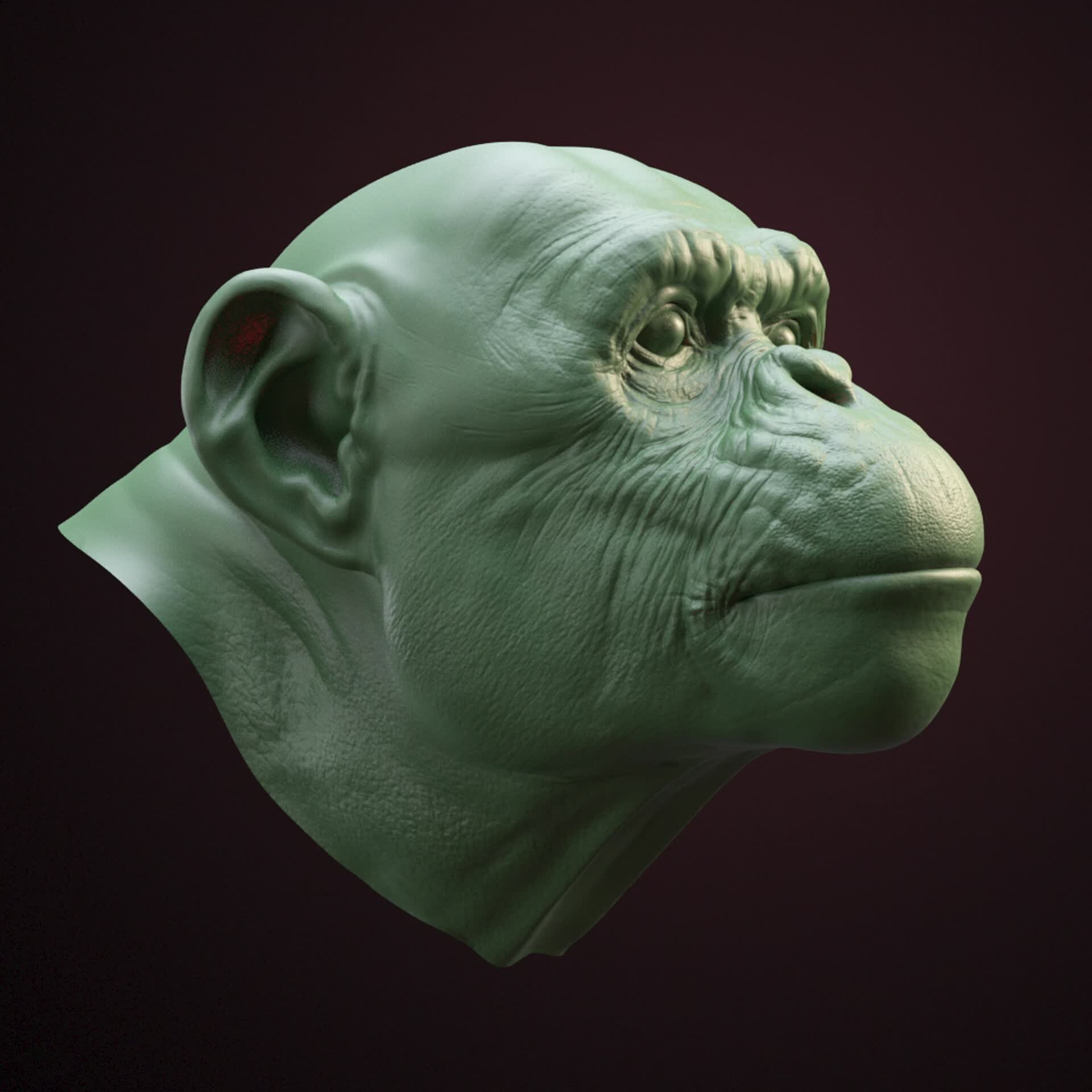 ArtStation - Chimpanzee facial expression