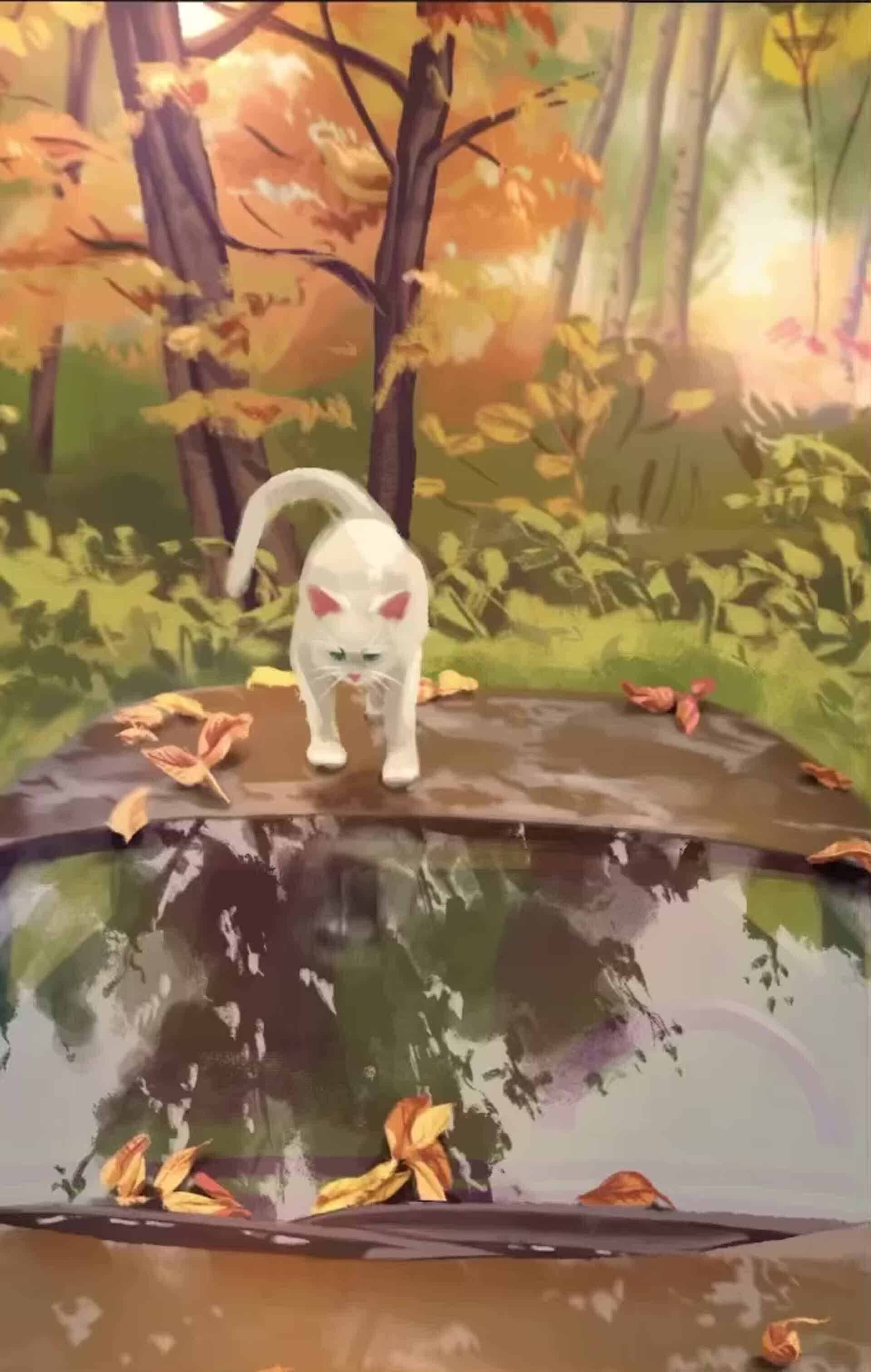 ArtStation - Cat Animation