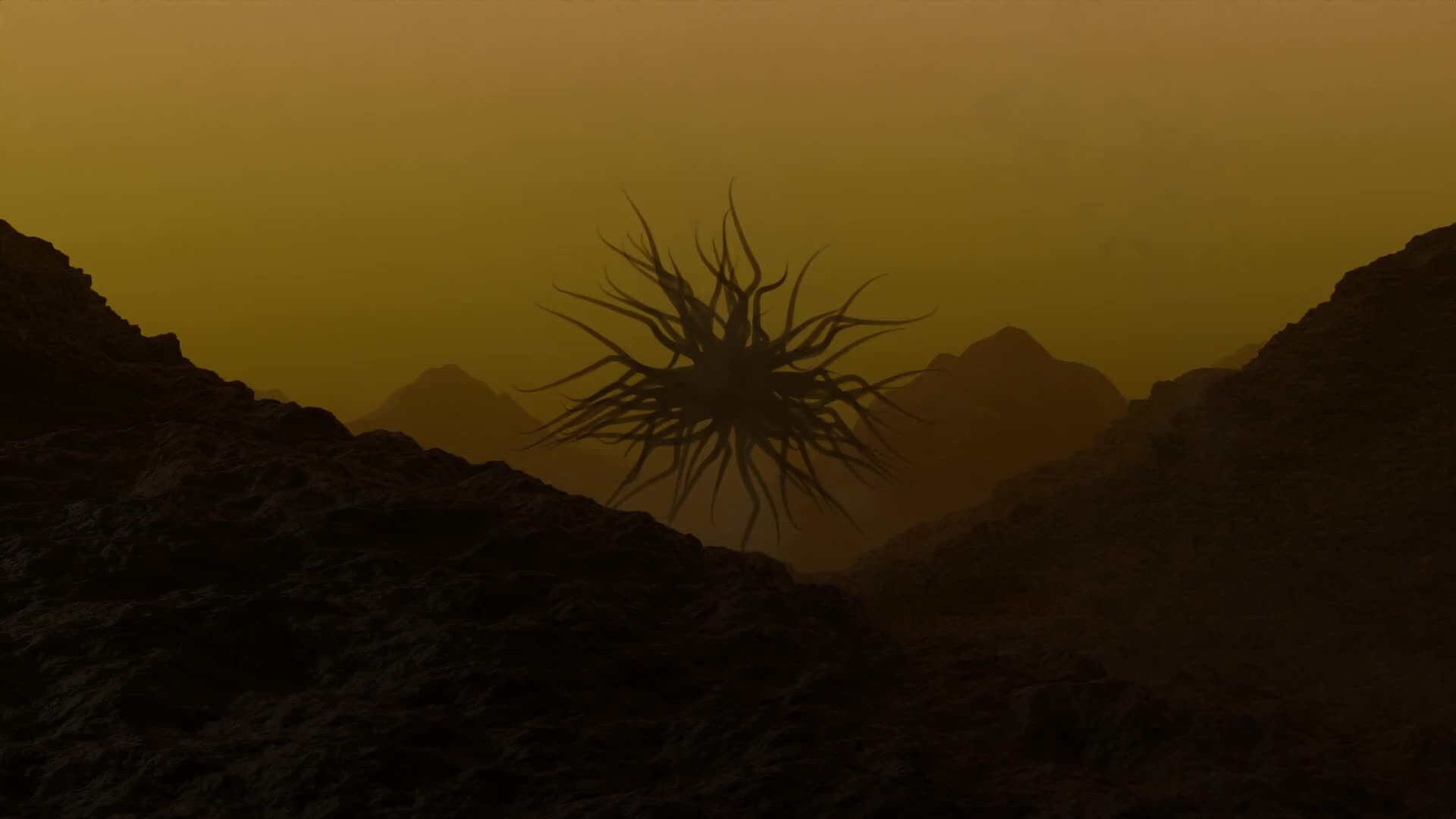 ArtStation - Abstract creatures animation