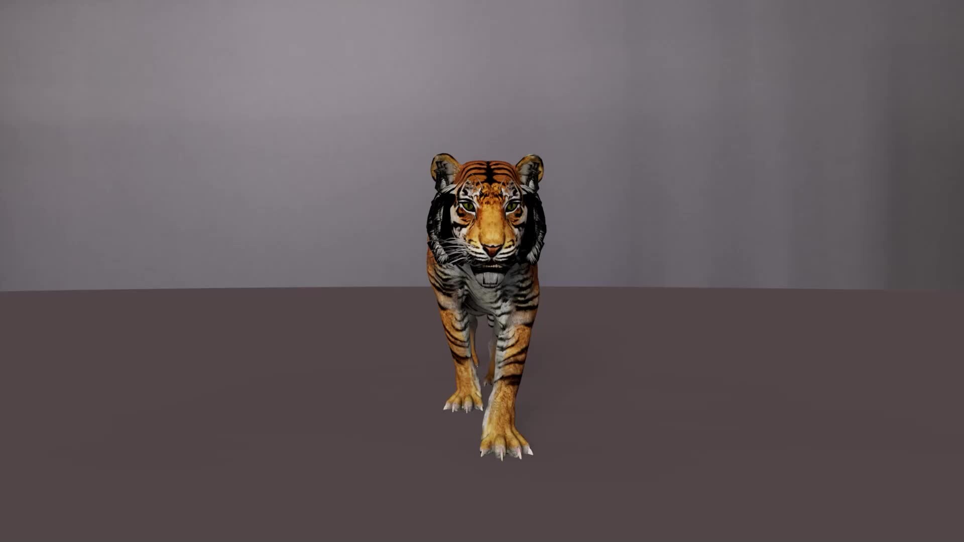 ArtStation - Tiger Walk 3D Animation