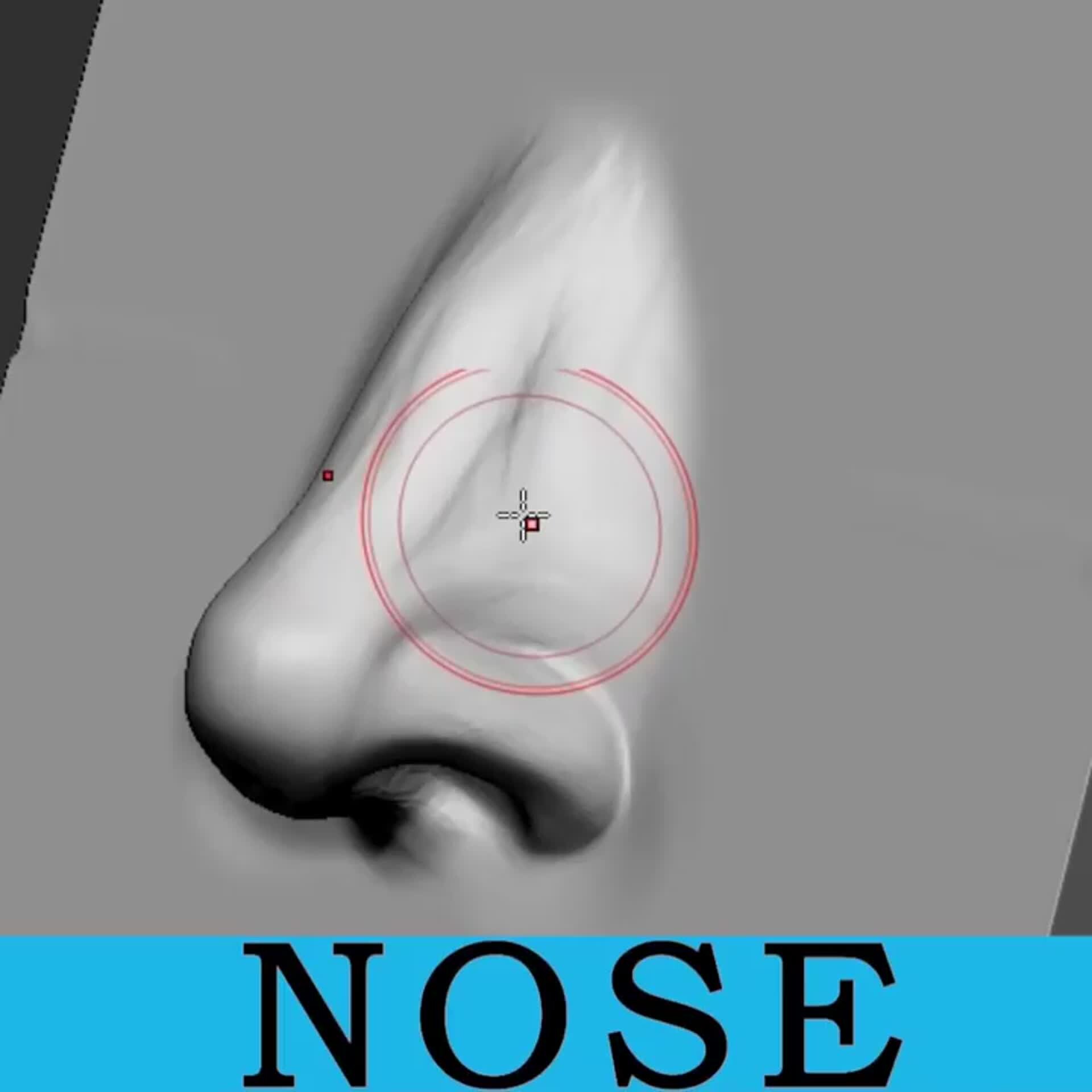 ArtStation - Sculpt Nose