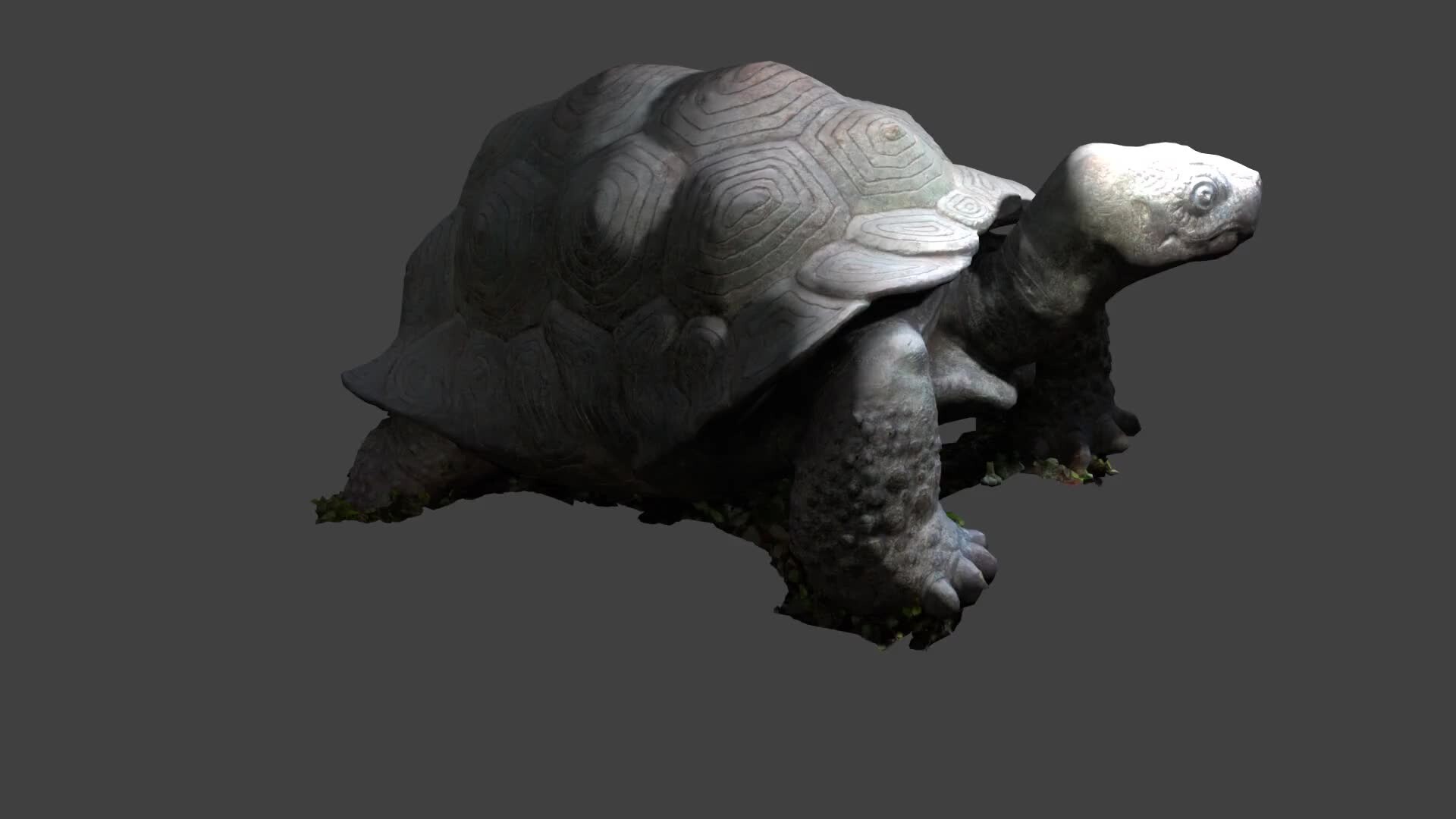 ArtStation - 'Tortoise' by Paul Manship