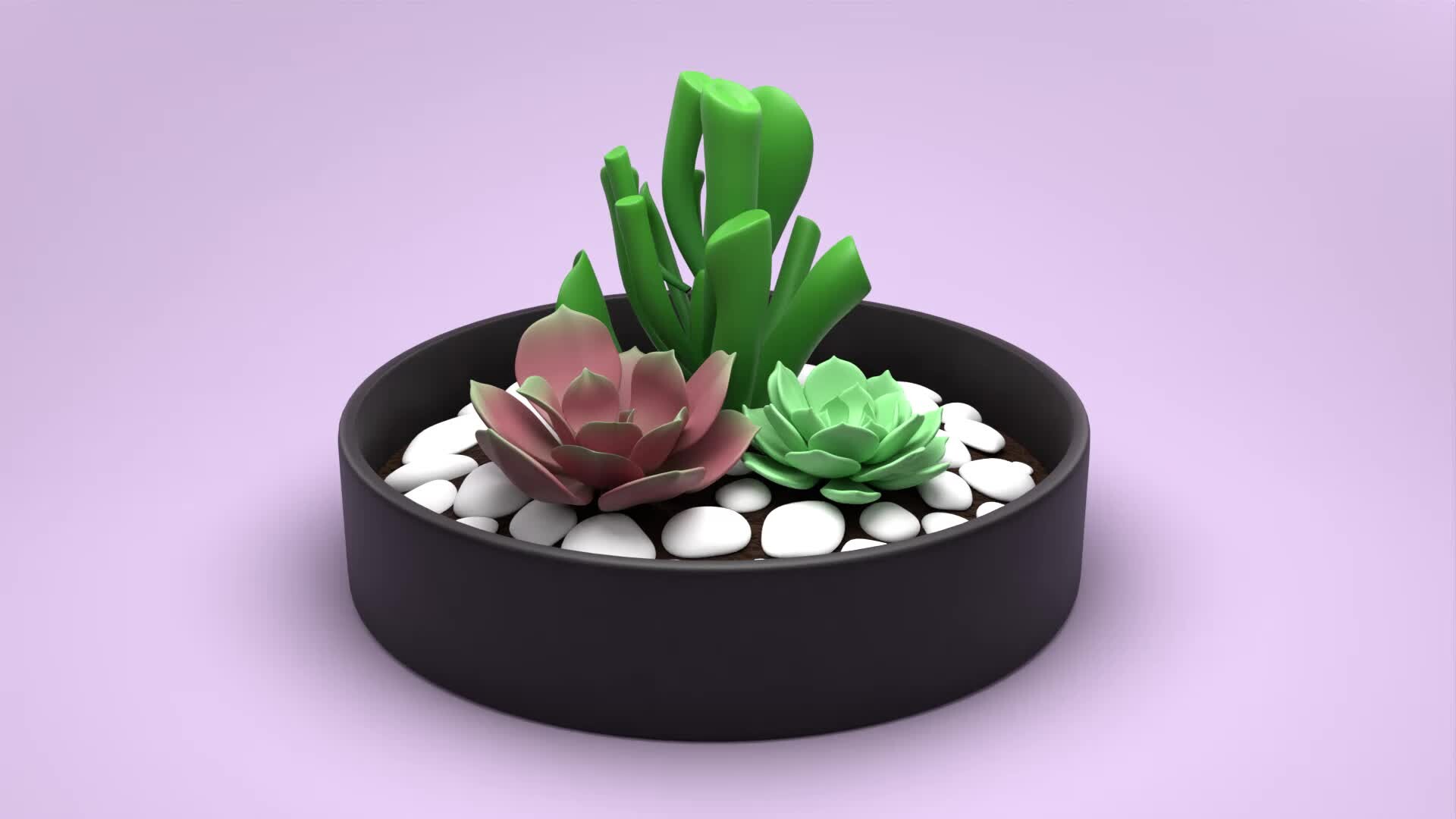 ArtStation - 3D Modeling of Succulents