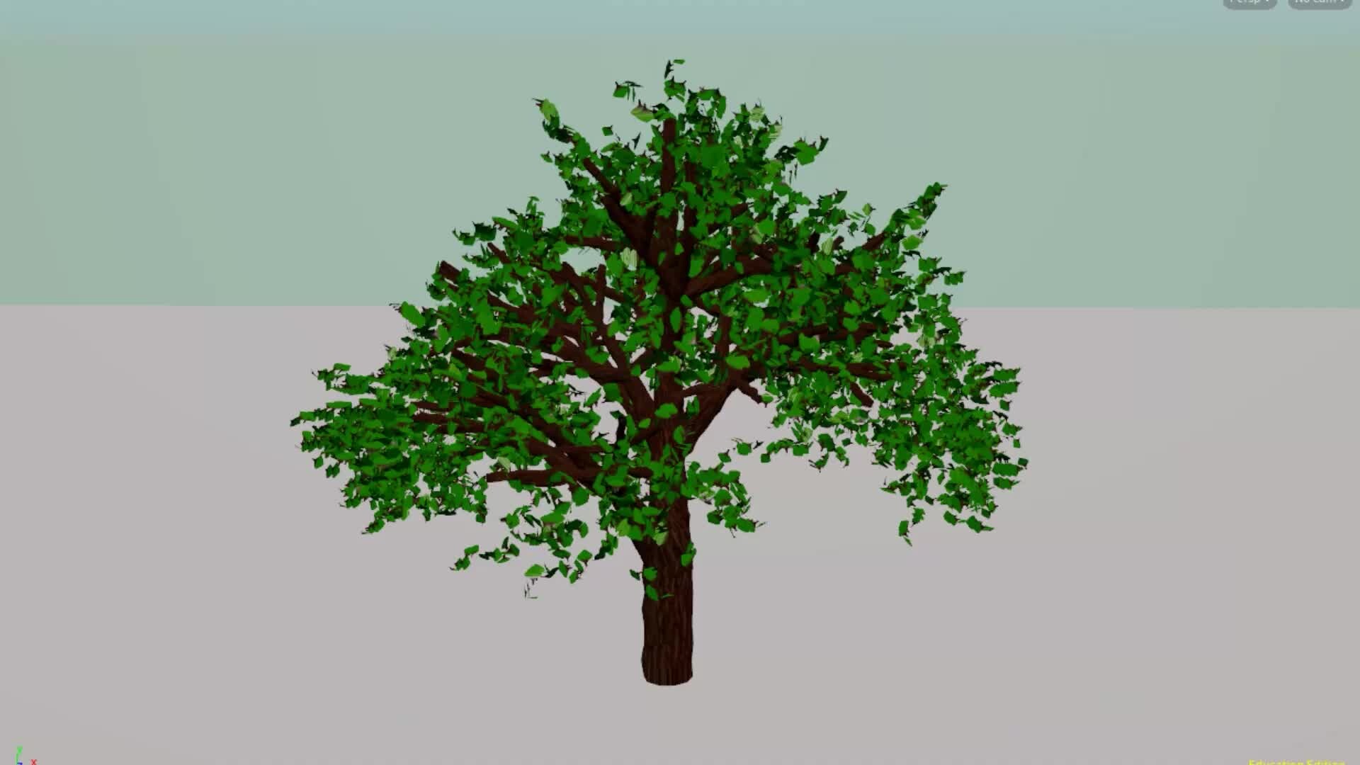 Alyssa Cassity - Tree Growth sim