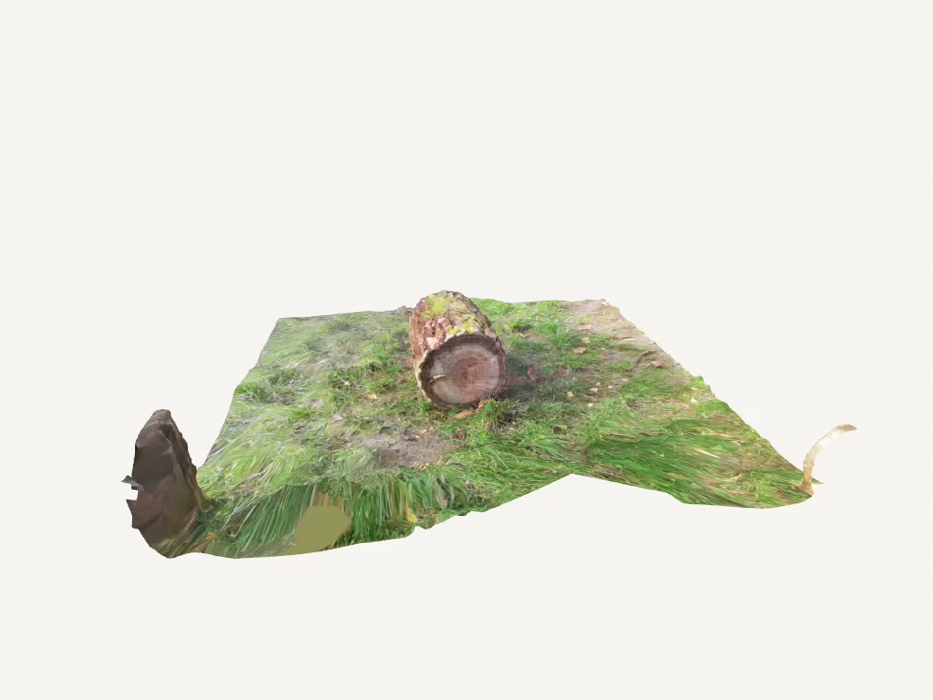 ArtStation - A scanned decrepit Tree Stump