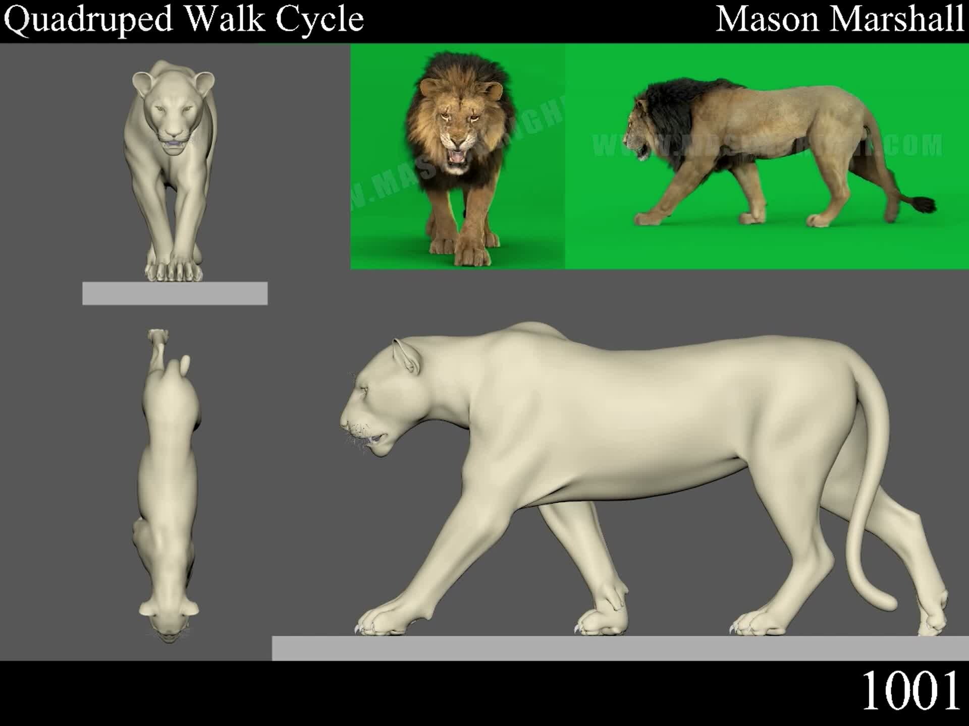 ArtStation - Module 4 - Quadruped Walk Cycle