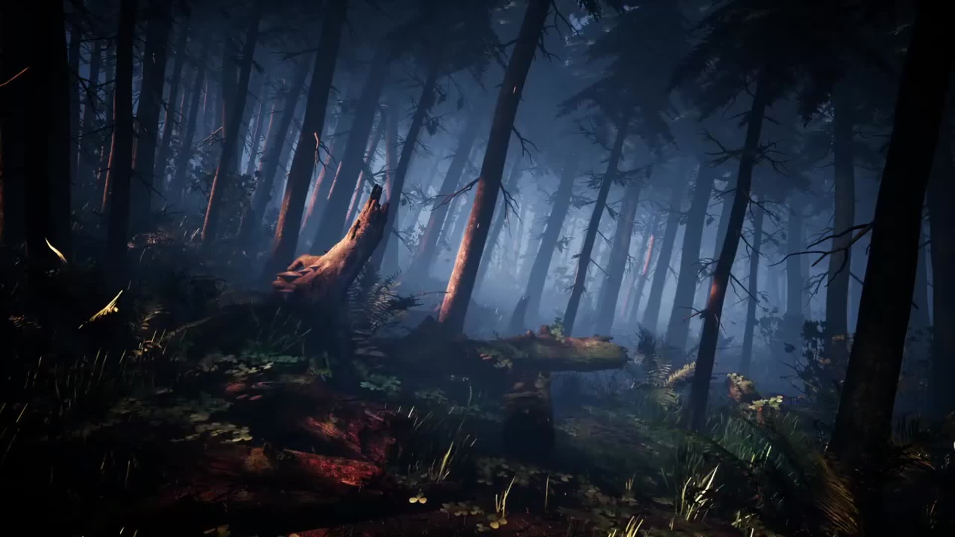 ArtStation - UE4 Forest
