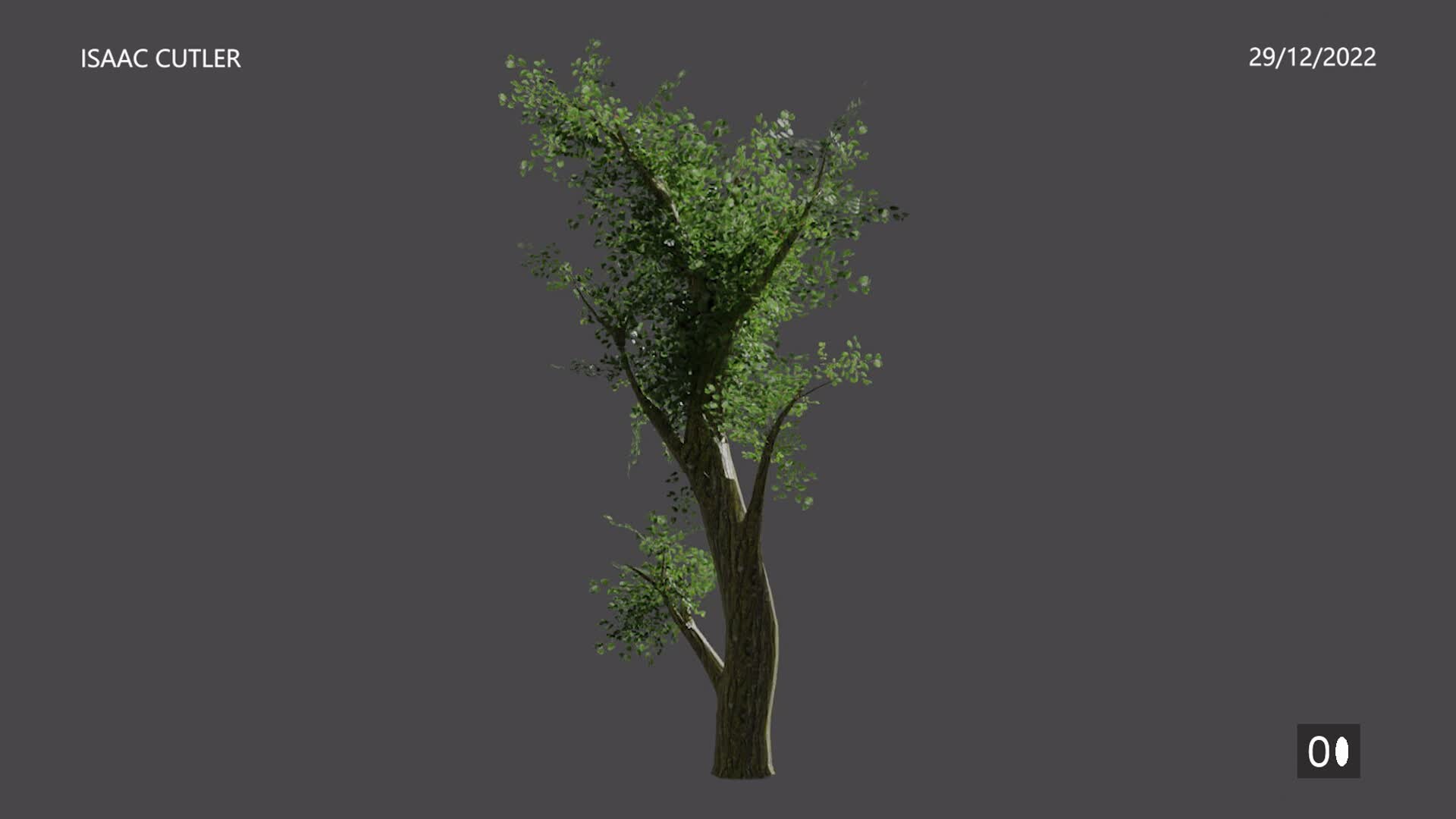 ArtStation - Tree 3D Model