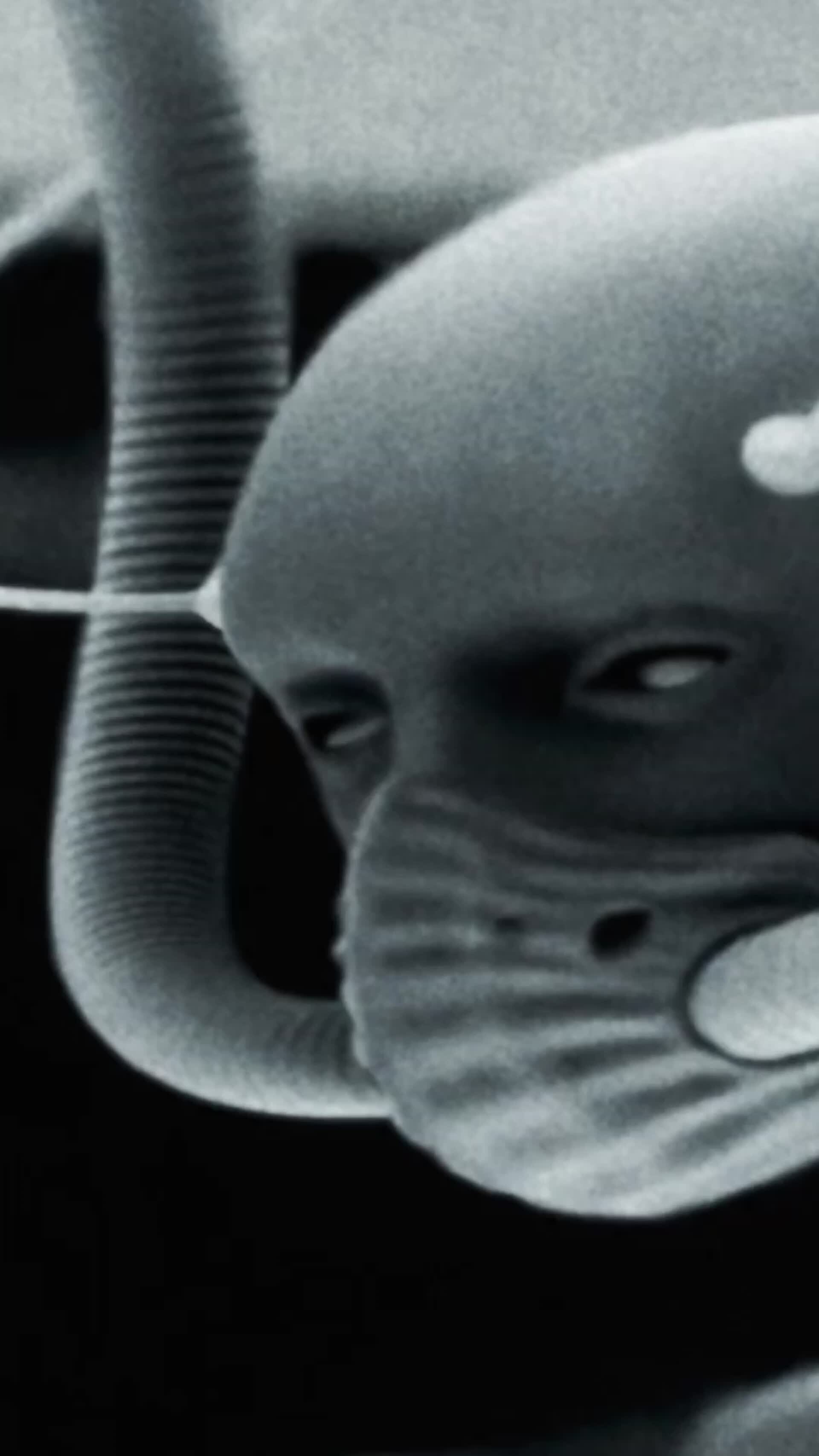 ArtStation - Exuvioth - Specimen Animation