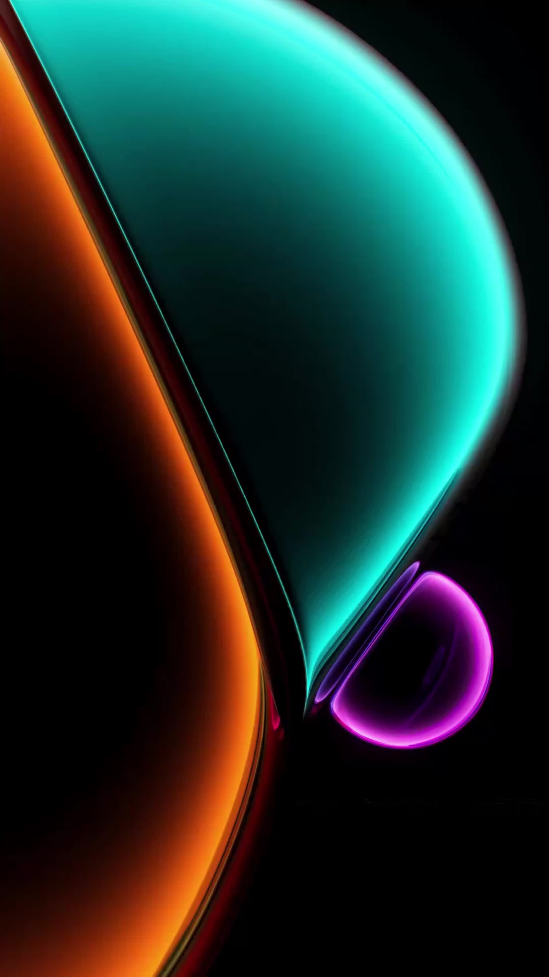 Intense Network - RGB Aesthetic Smooth Curves Live Wallpaper