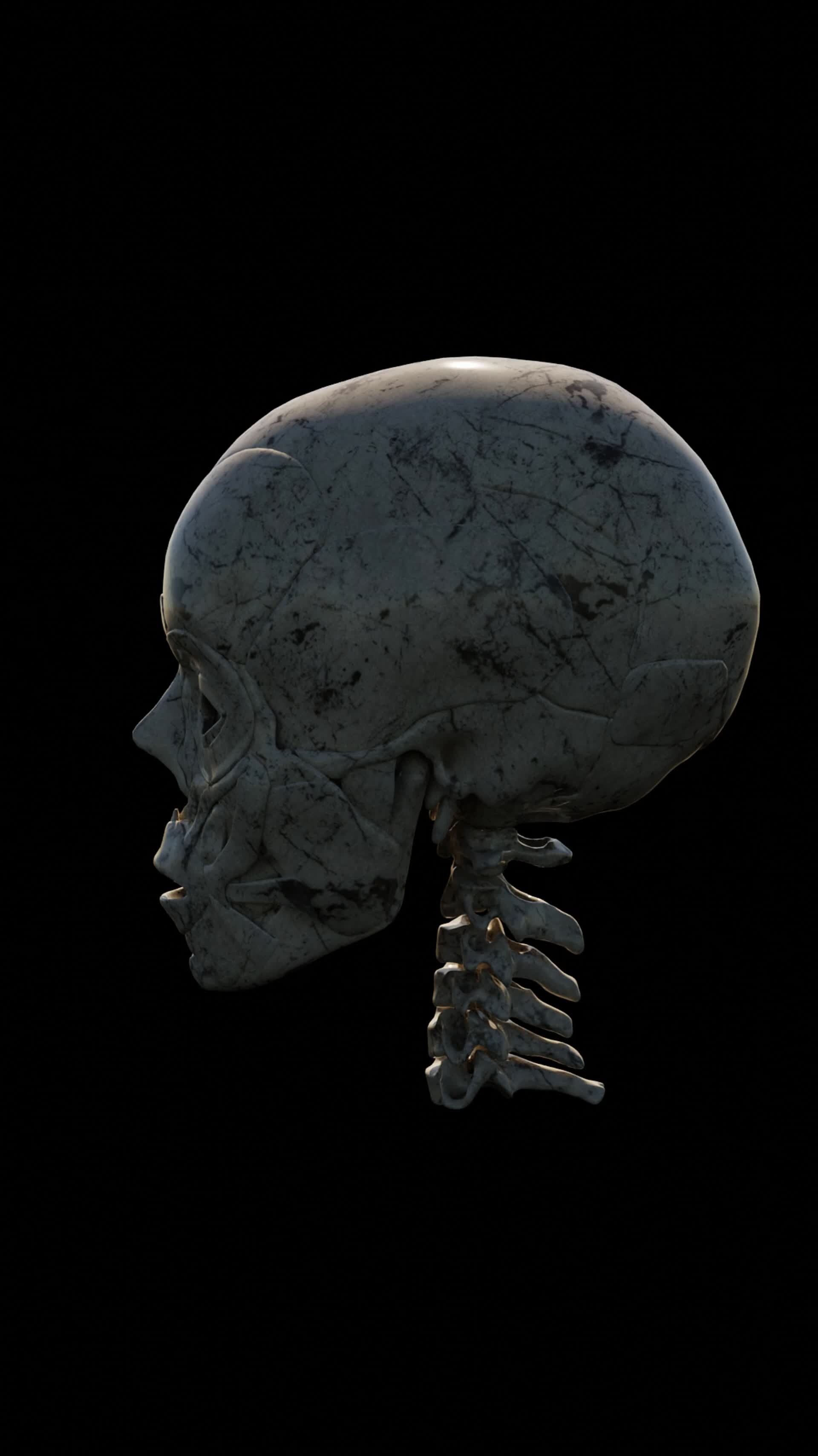 ArtStation - Marble Head