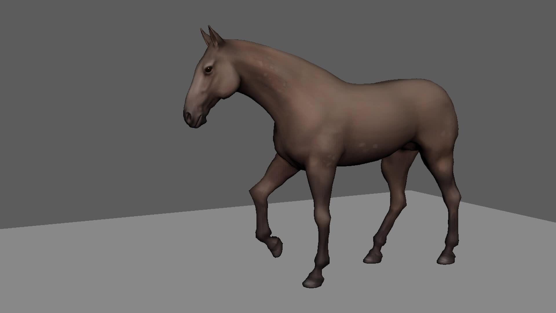 ArtStation - Horse Walk Animation