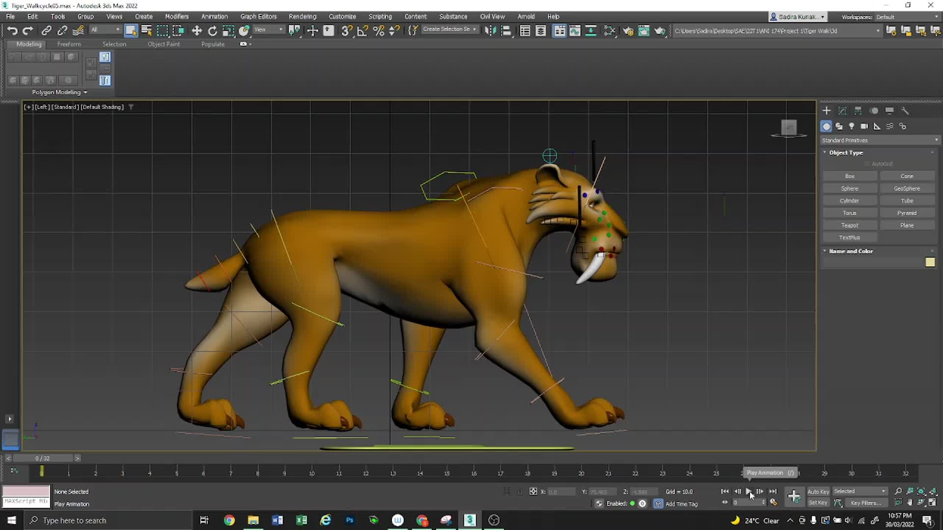 ArtStation - Tiger Walk Cycle