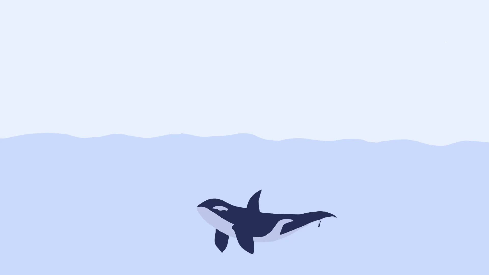 ArtStation - killer whale animation