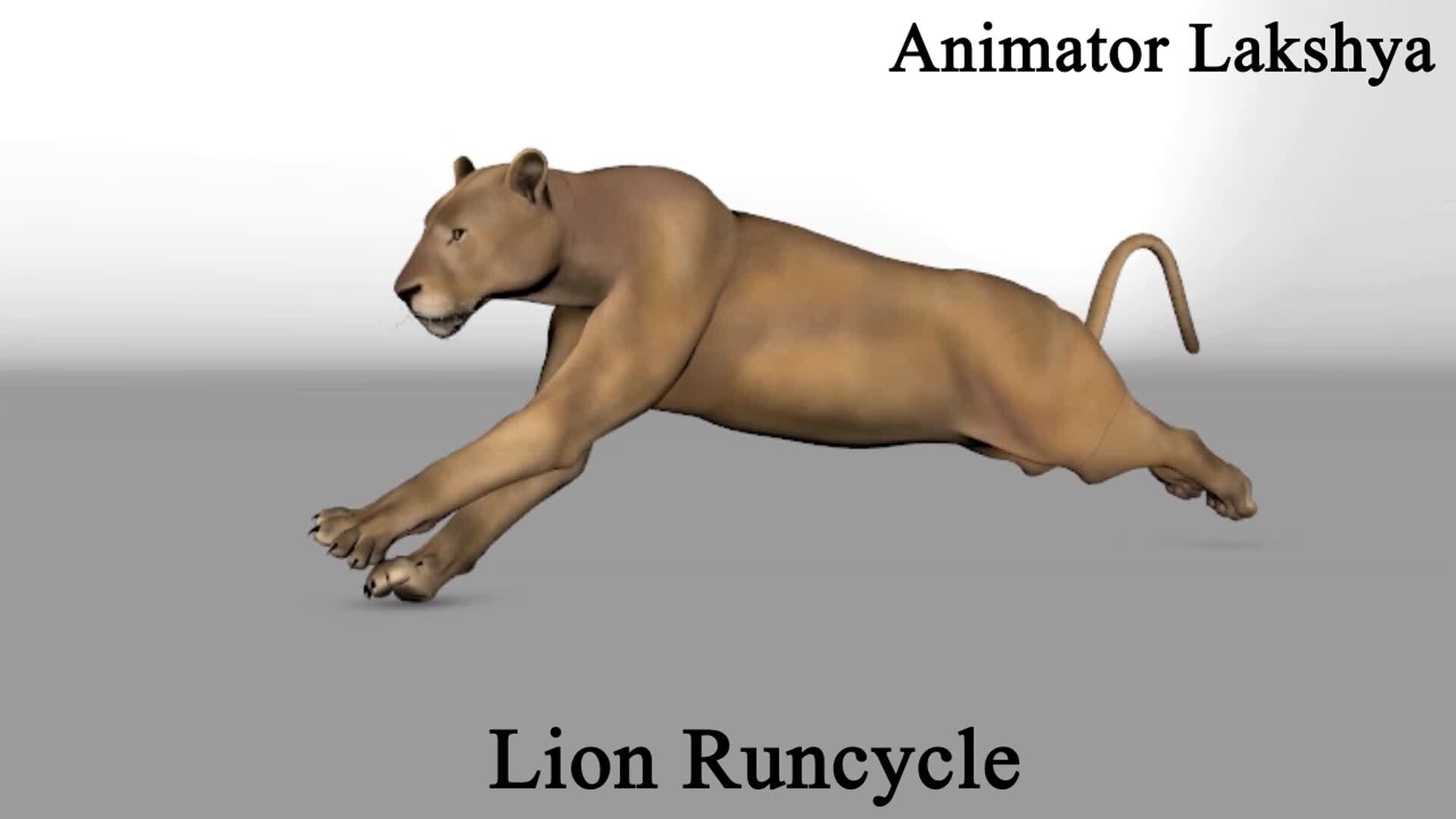 ArtStation - Lion runcycle 3D animation