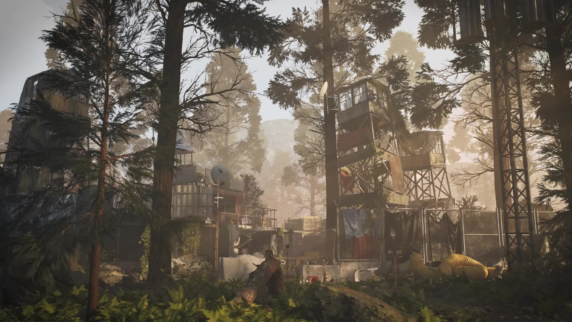 ArtStation - DMZ Forest