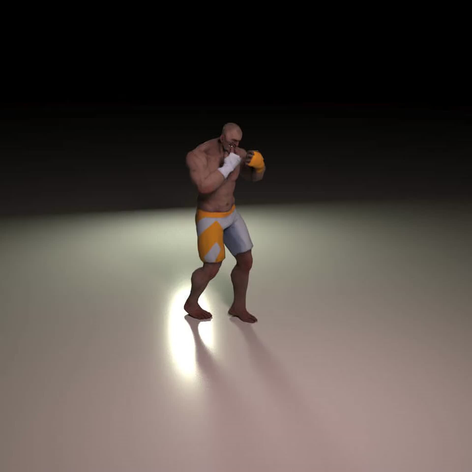 ArtStation - Boxing Animations