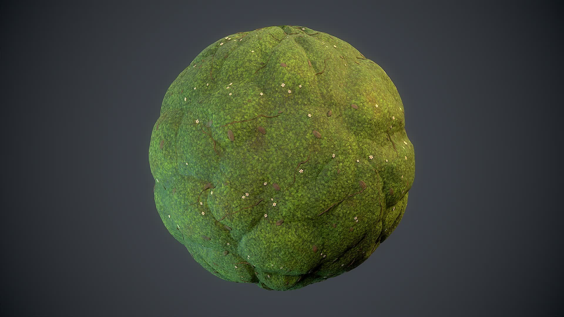 ArtStation - Forest Ground Moss